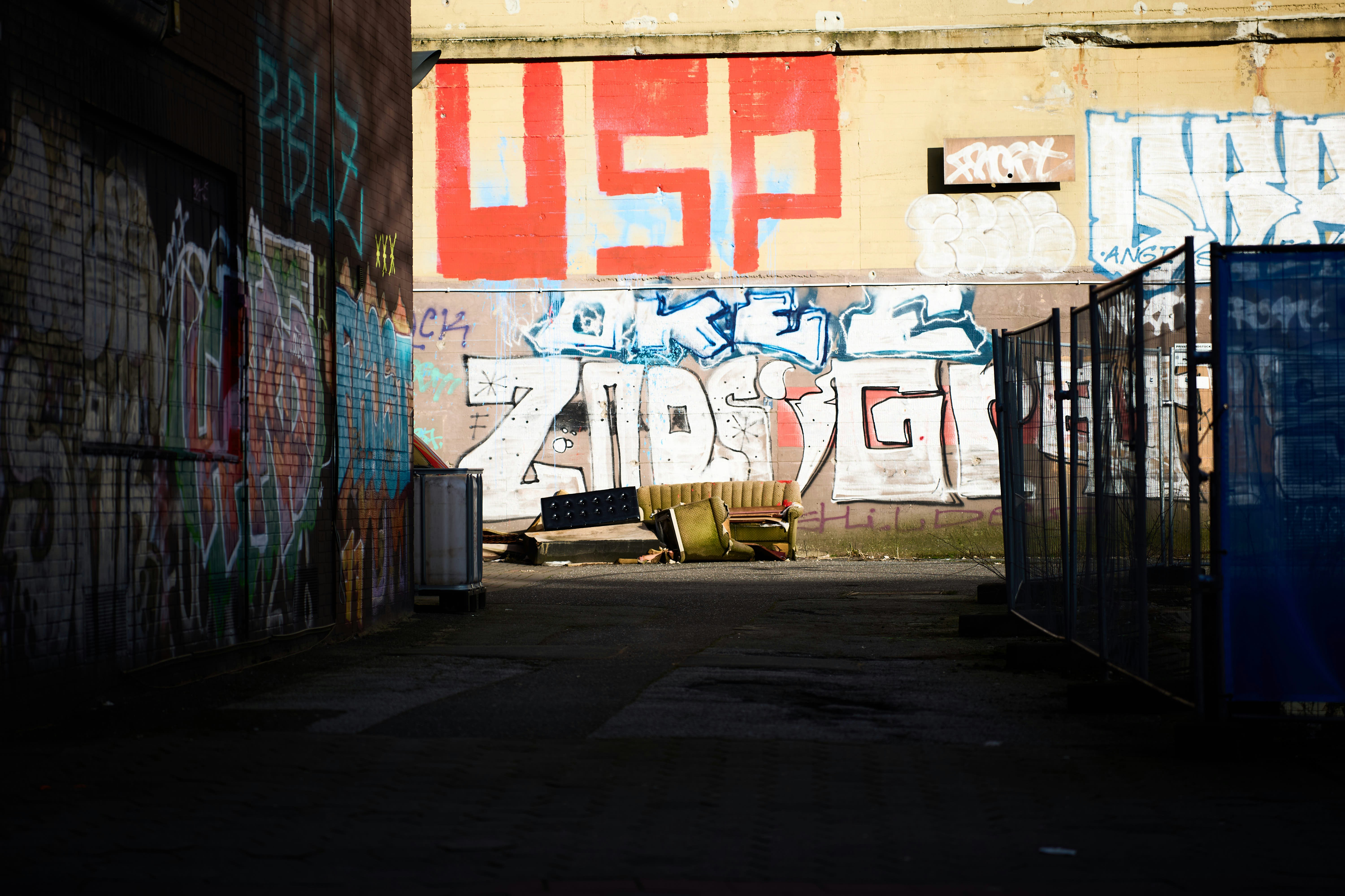 Urban Canvas: The Echoes of Street Art
