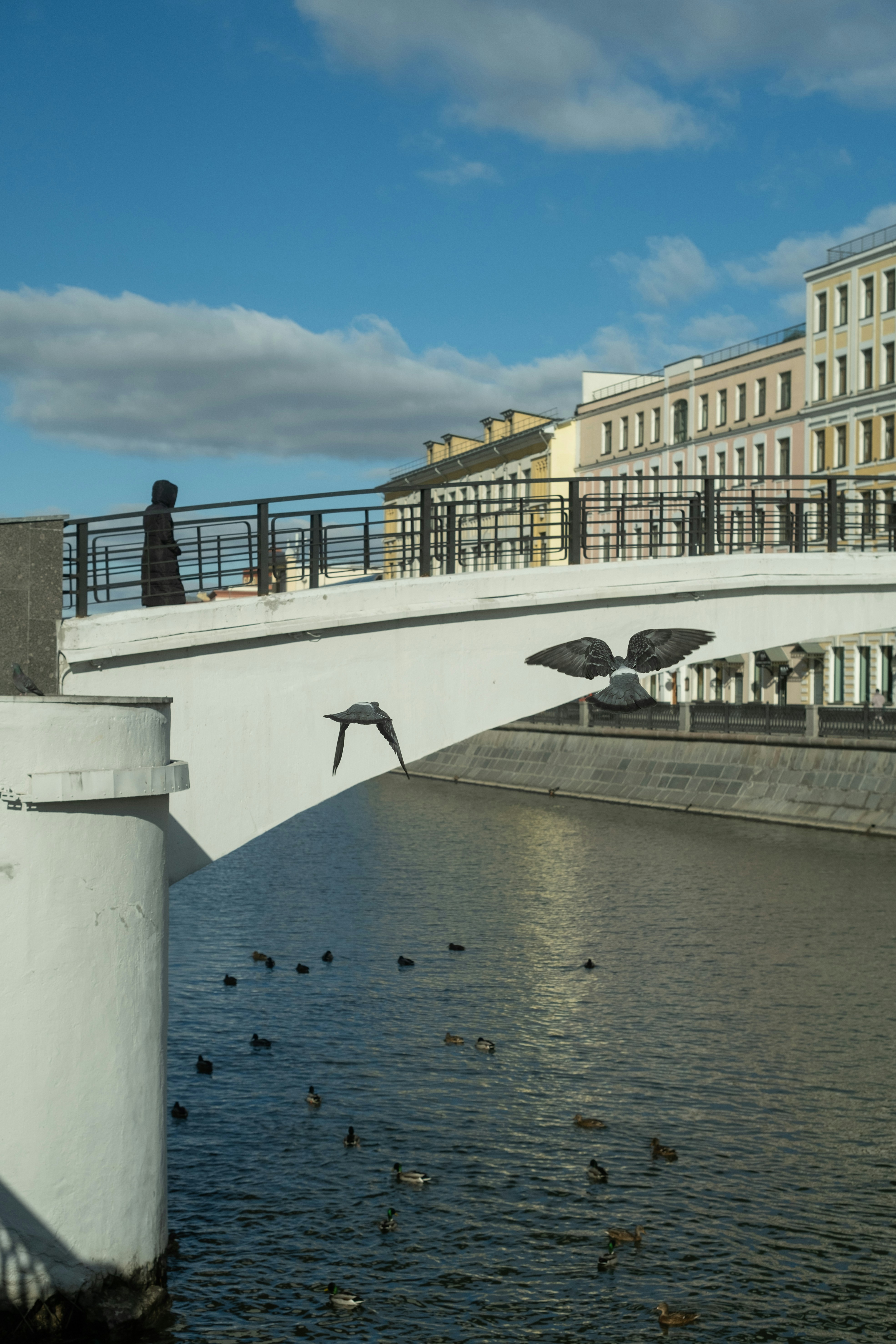 White Arch, Blue Water: A City Canal Framed by Birds in Flight