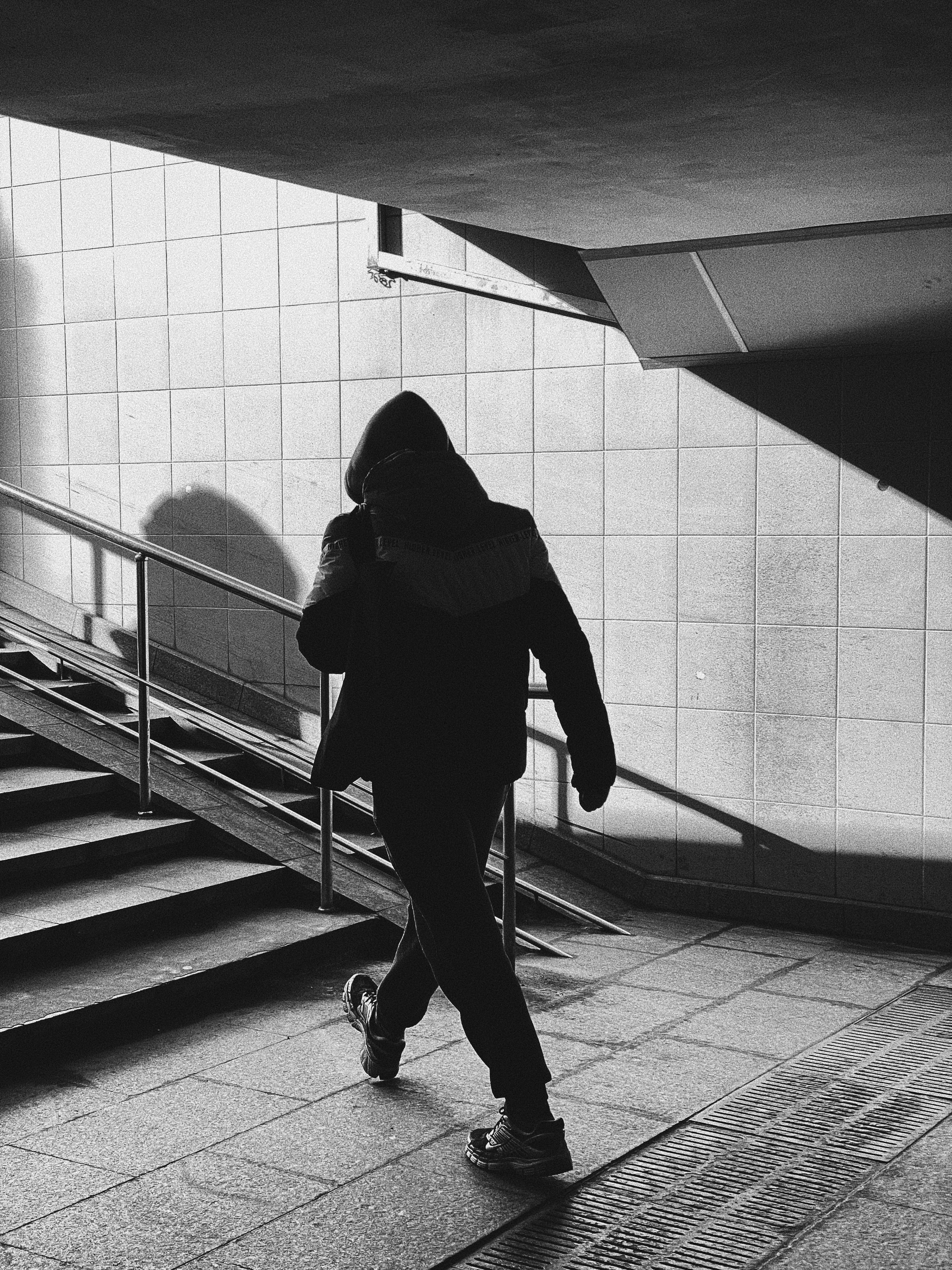 A person riding a skateboard down a flight of stairs photo – Free ...