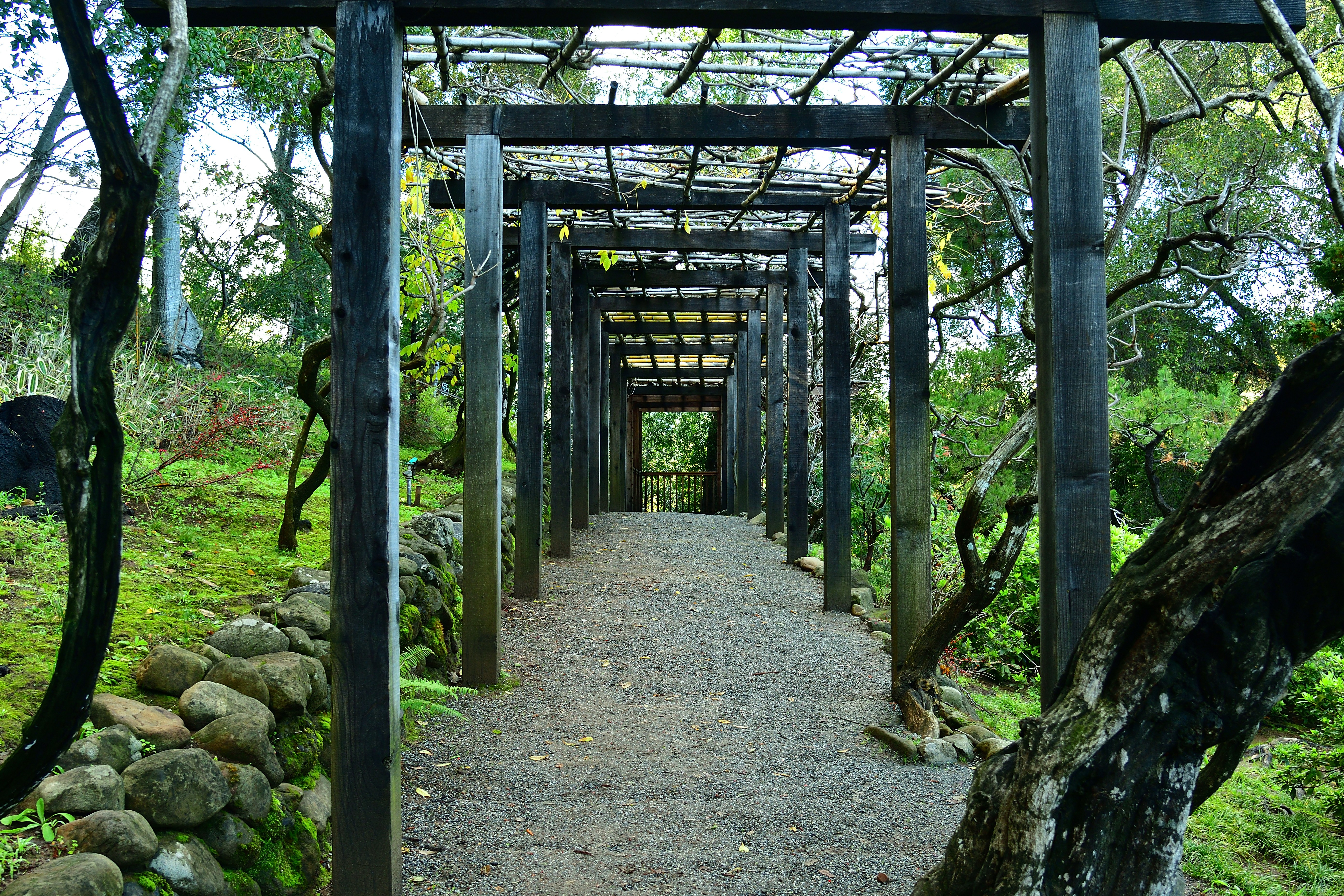 Pergola Corridor: Gravel Path Through Repeating Arches