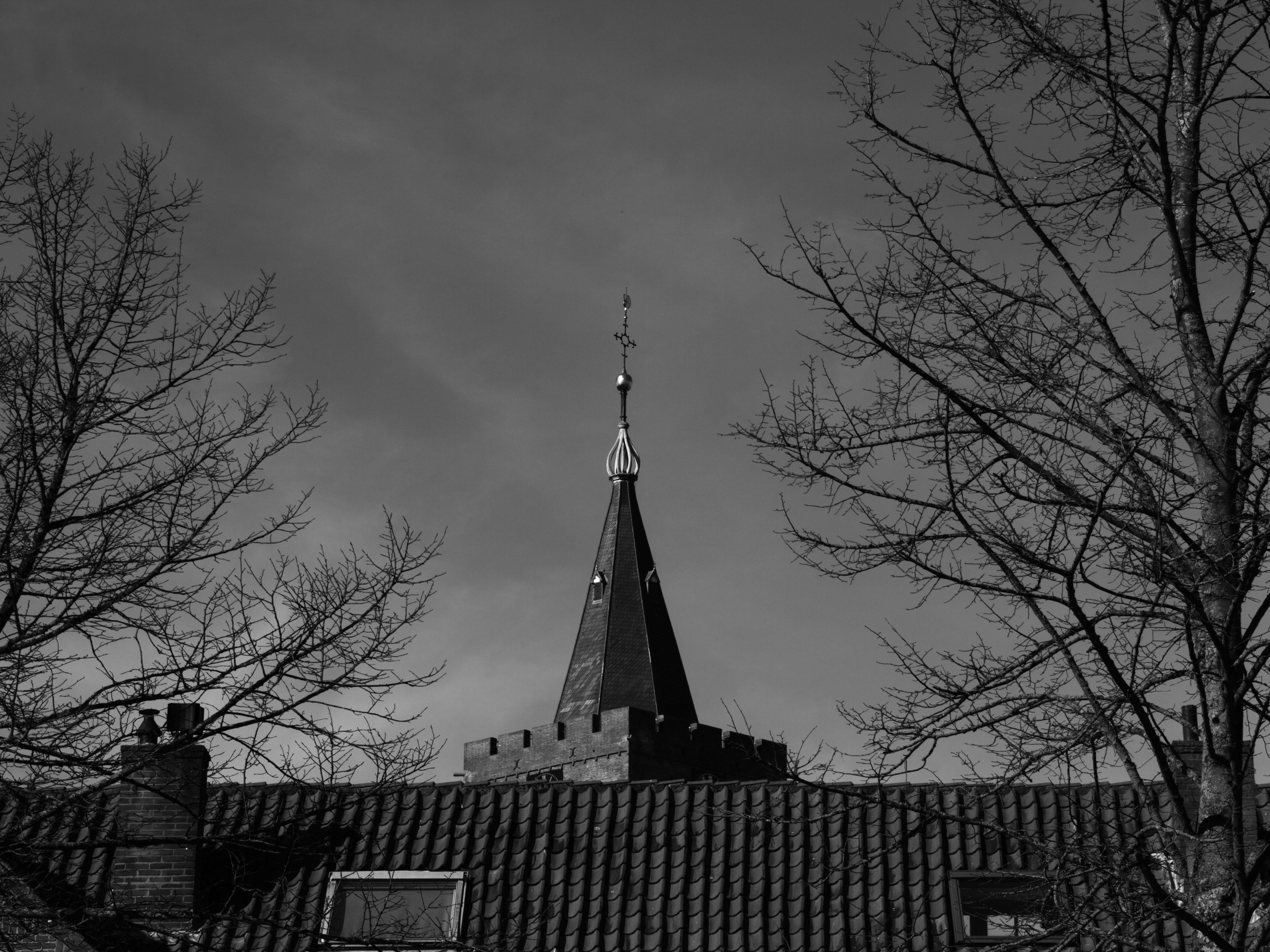 Historic tower rising above rooftops, framed by bare branches against a dramatic sky.