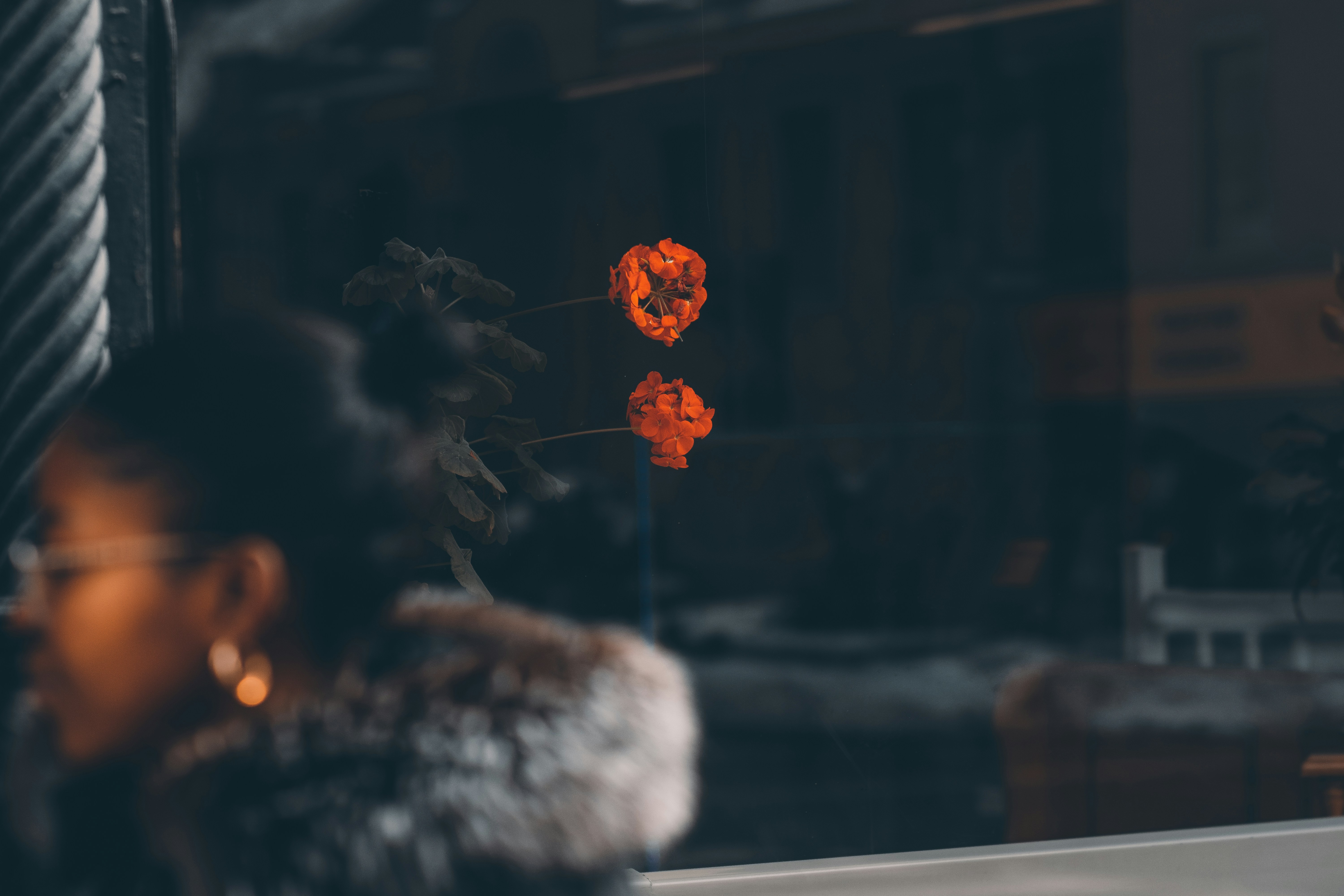Two vibrant red flowers reflected in a window, juxtaposed against a blurred figure in the foreground. The scene captures a moment of tranquility amidst urban life.