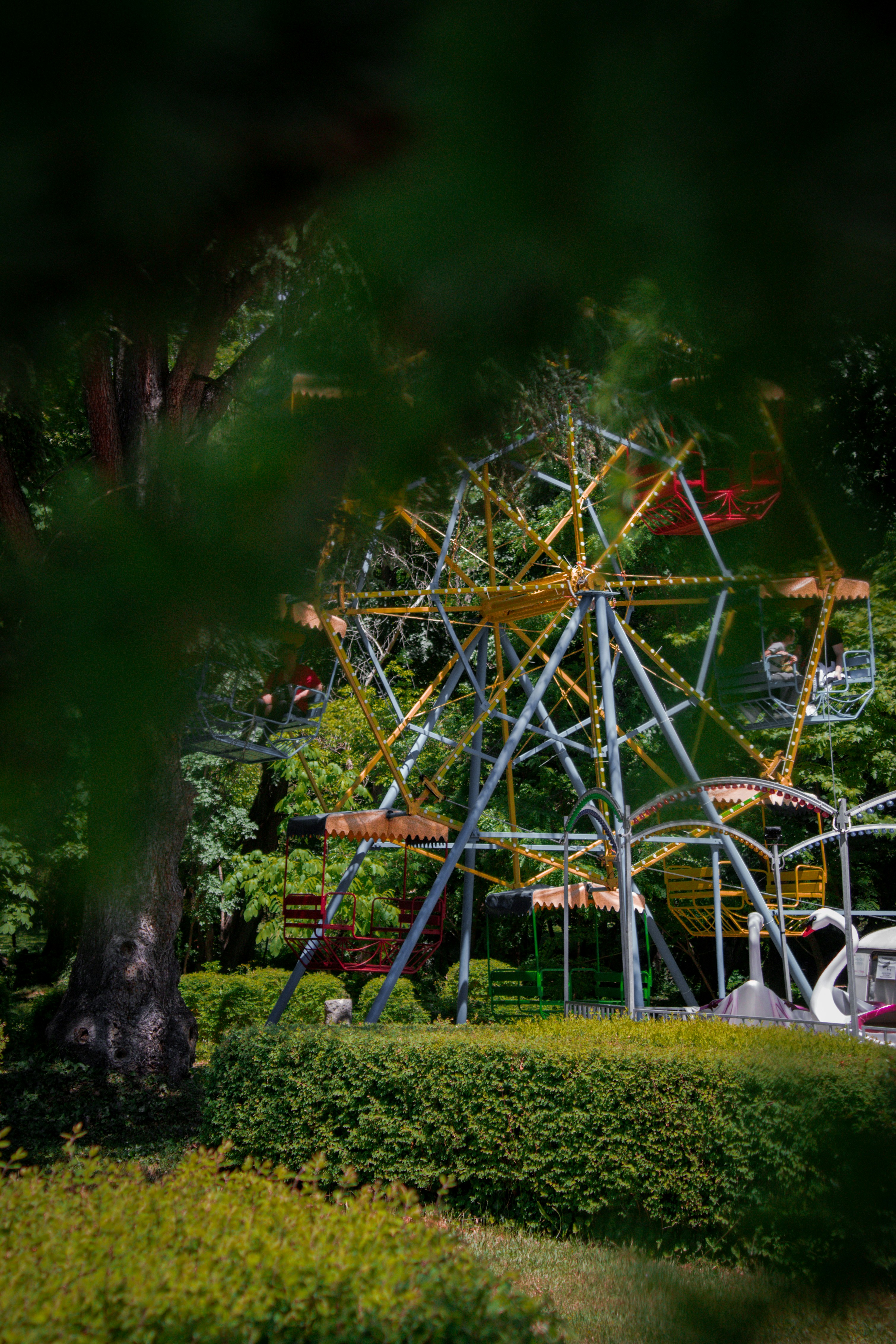a ferris wheel in the middle of a park