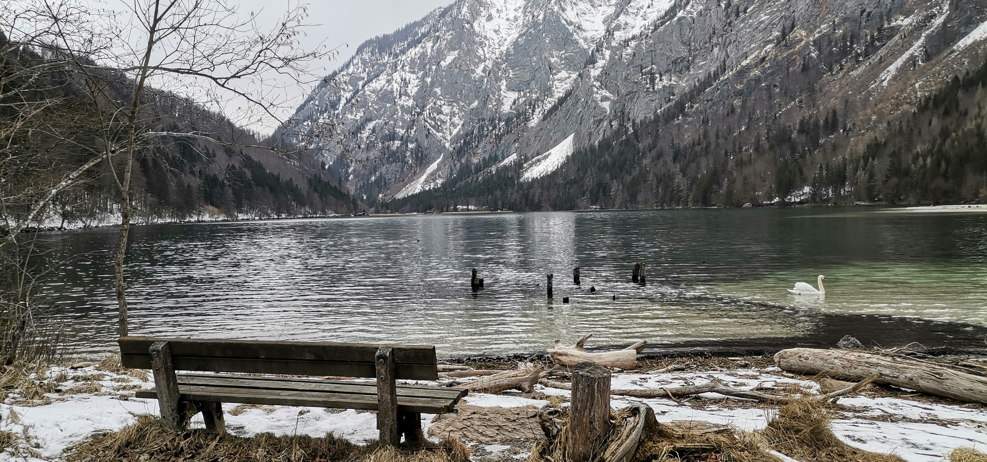 Snow-dusted mountains and a tranquil lake with a wooden bench in the foreground.