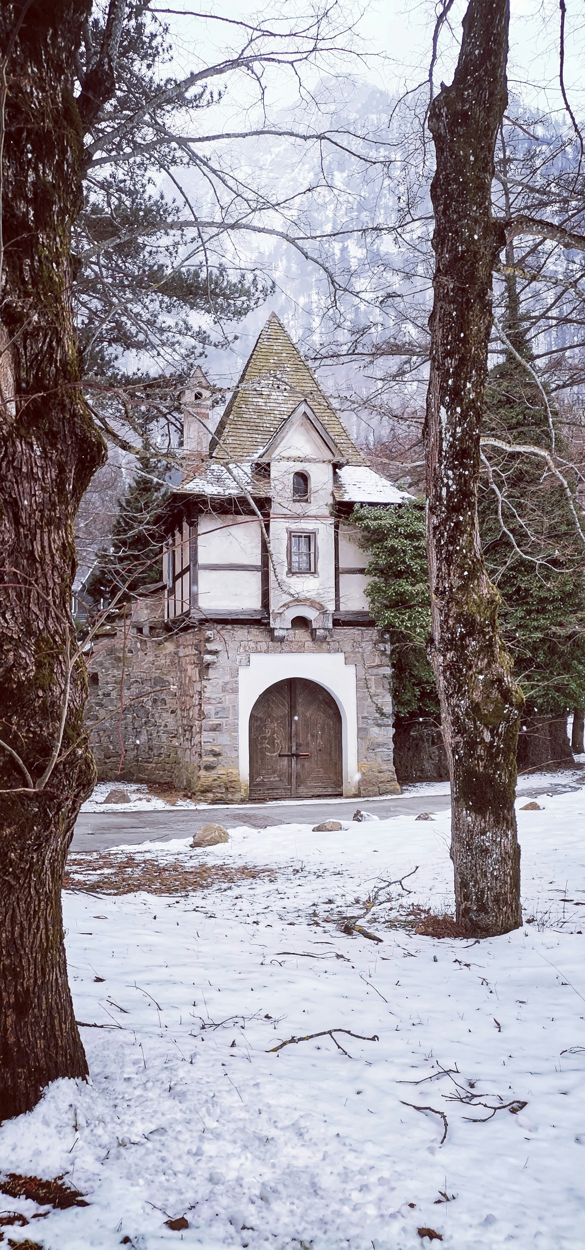 A quaint, snow-covered lodge nestled between towering trees, exuding a fairytale charm in a winter landscape.
