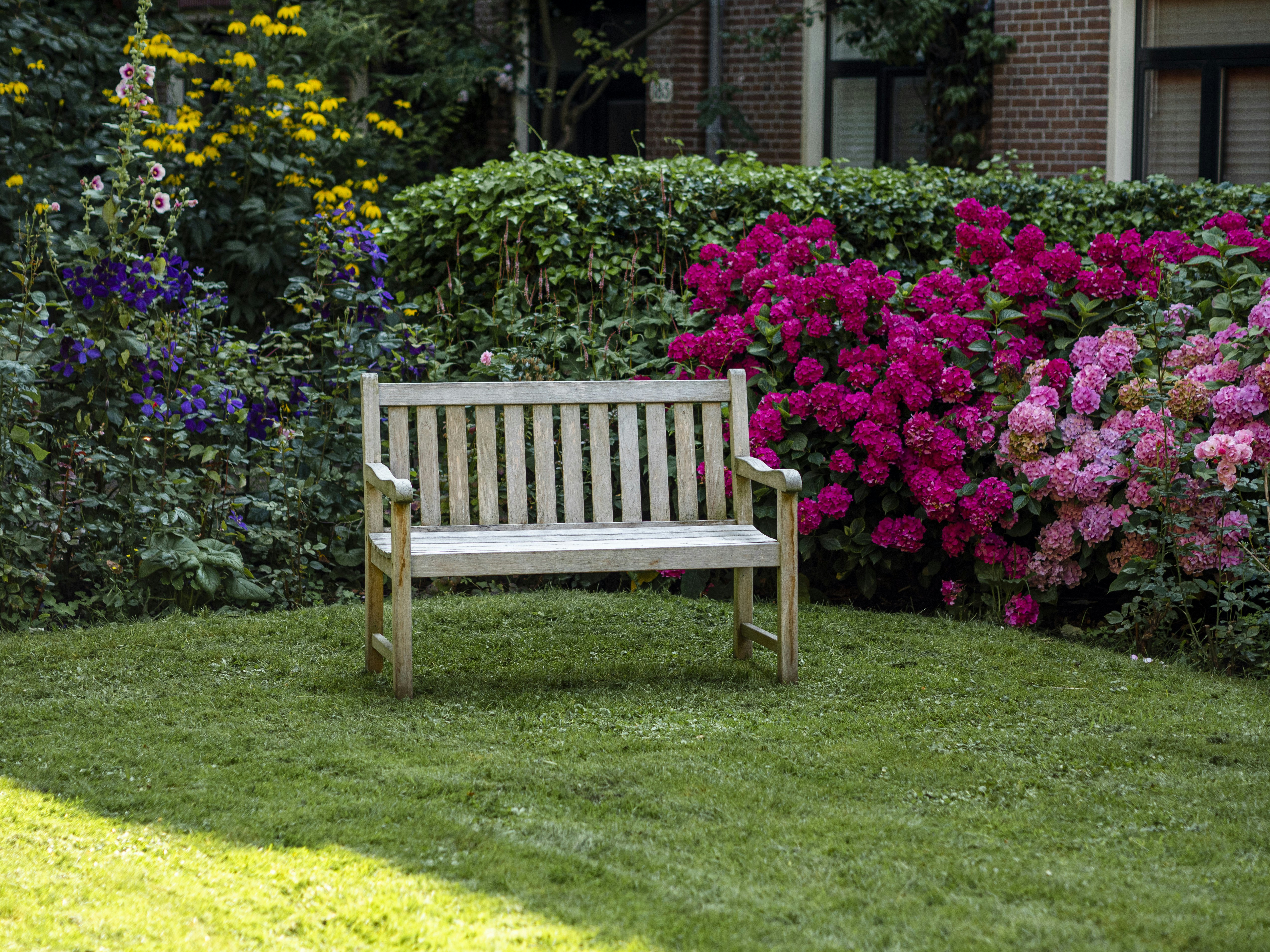 An intimate place hidden in the city of Amsterdam