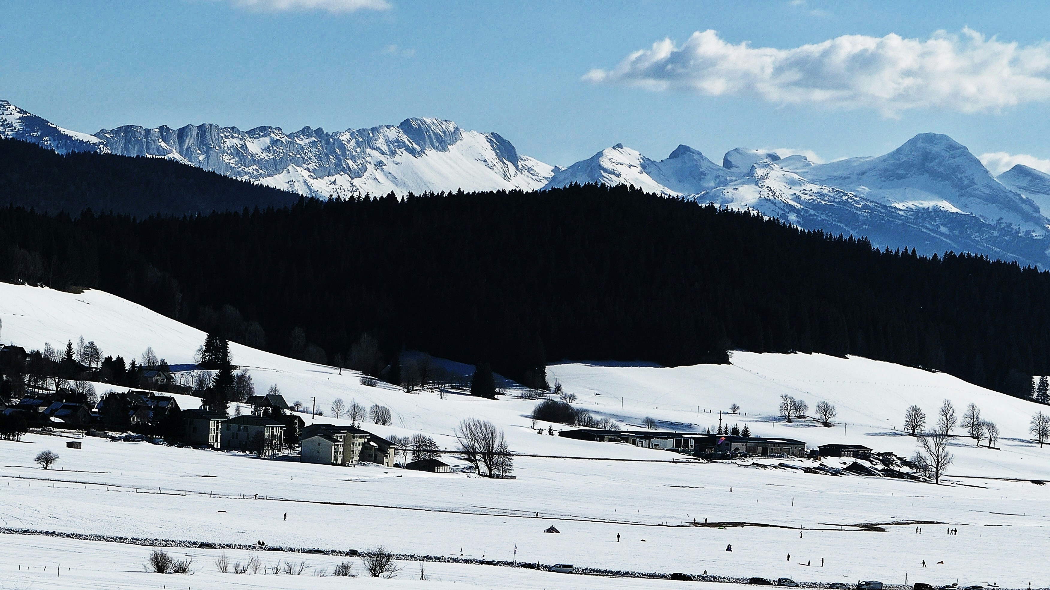 Whispers of Winter: A Serene Alpine Landscape