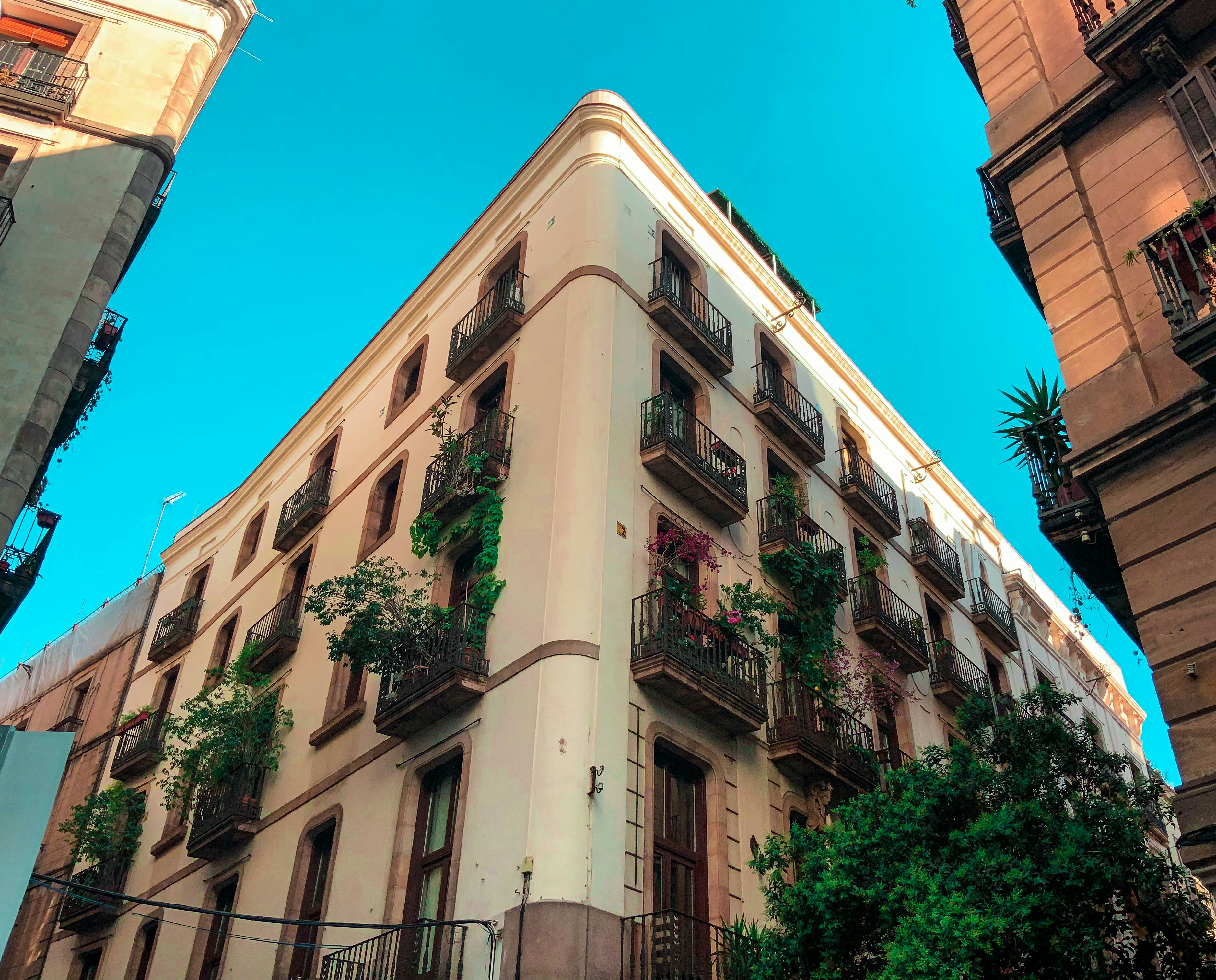 Un edificio alto con balcones y plantas en los balcones foto – Imagen de Barcelona gratuita en ...