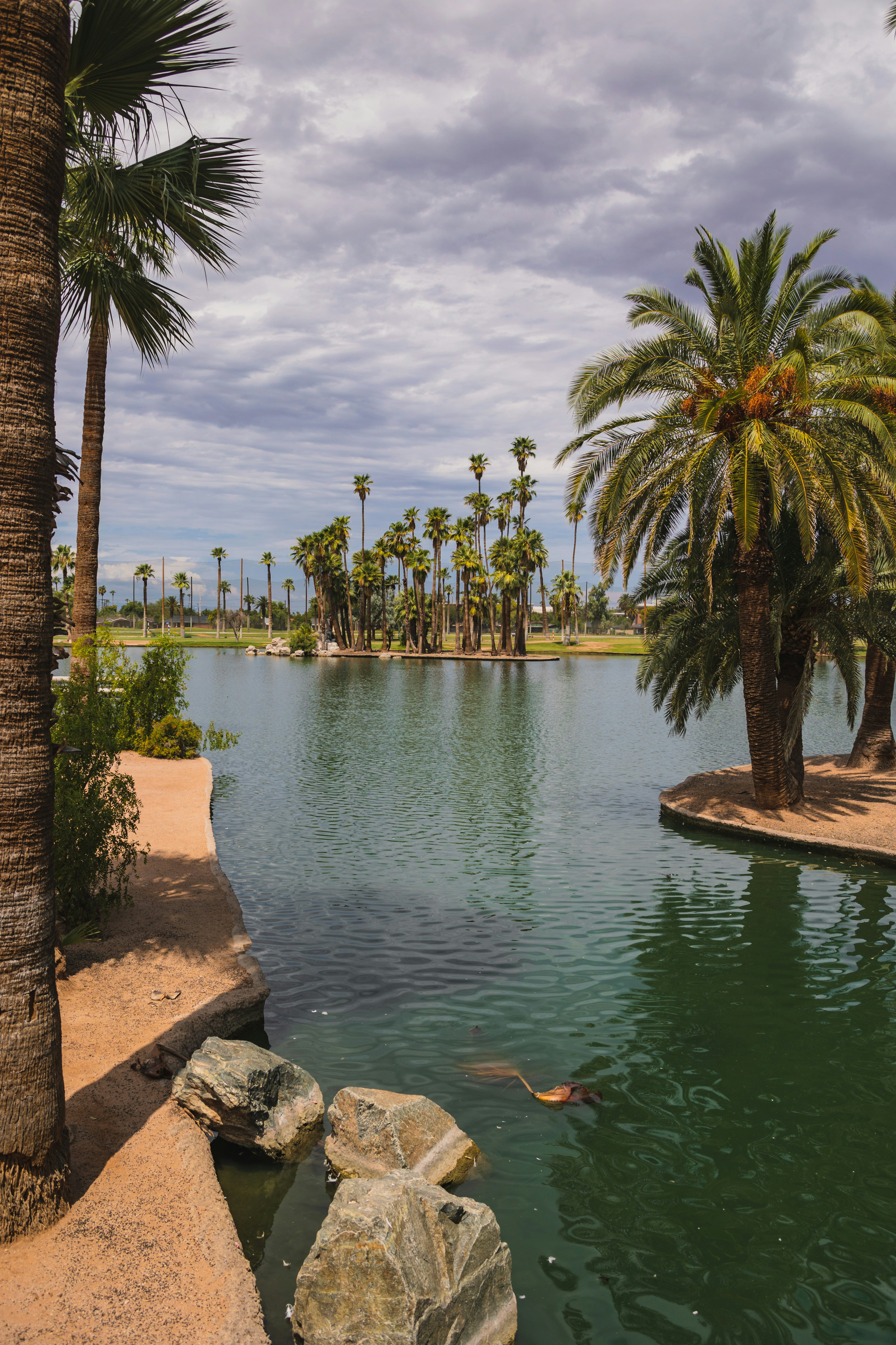 Foto Un estanque rodeado de palmeras y rocas – Imagen Fénix gratis en ...