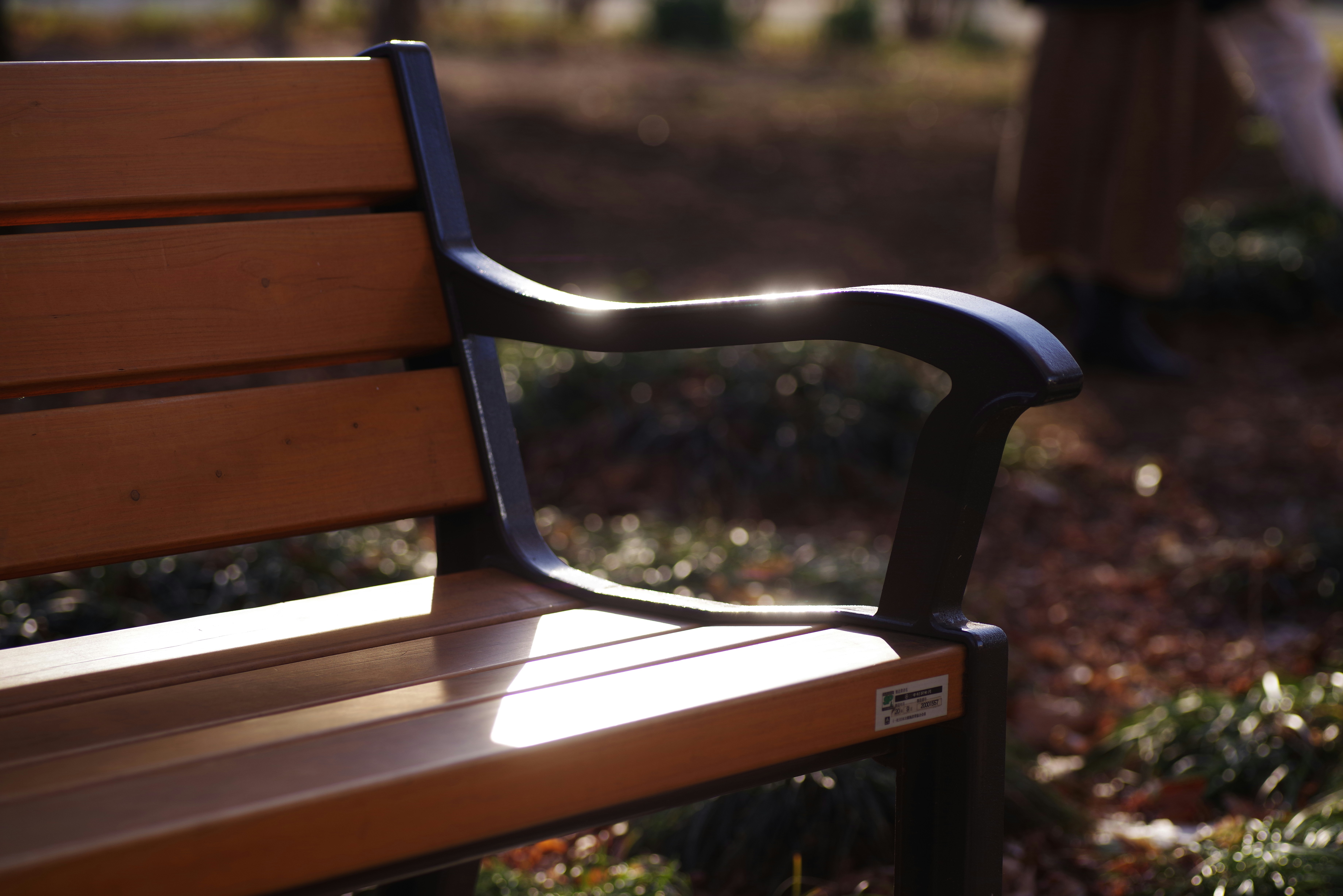 Sunlit Curve: a Quiet Bench in Autumn Light