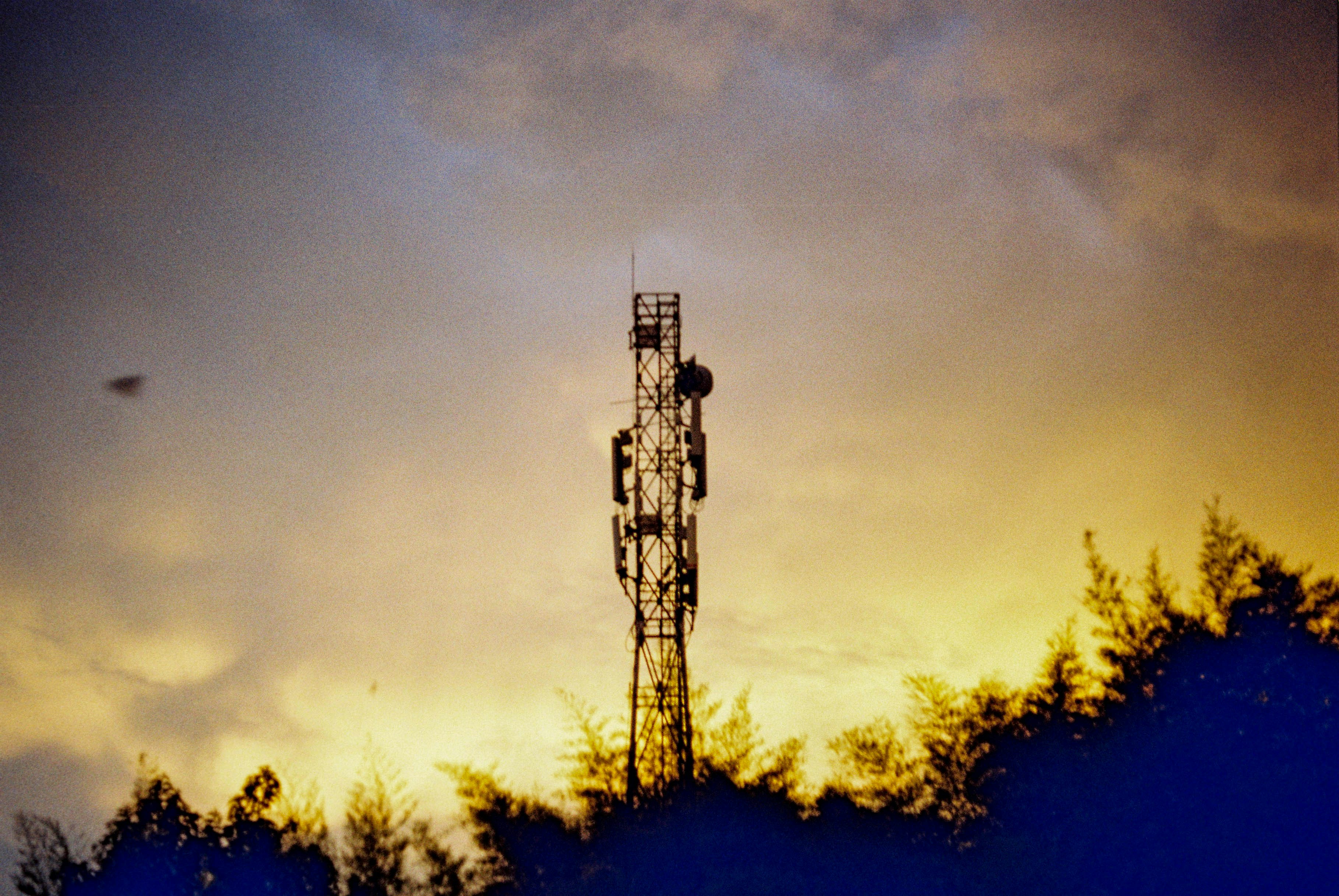 Communication tower silhouetted against a vibrant sunset, framed by lush foliage.