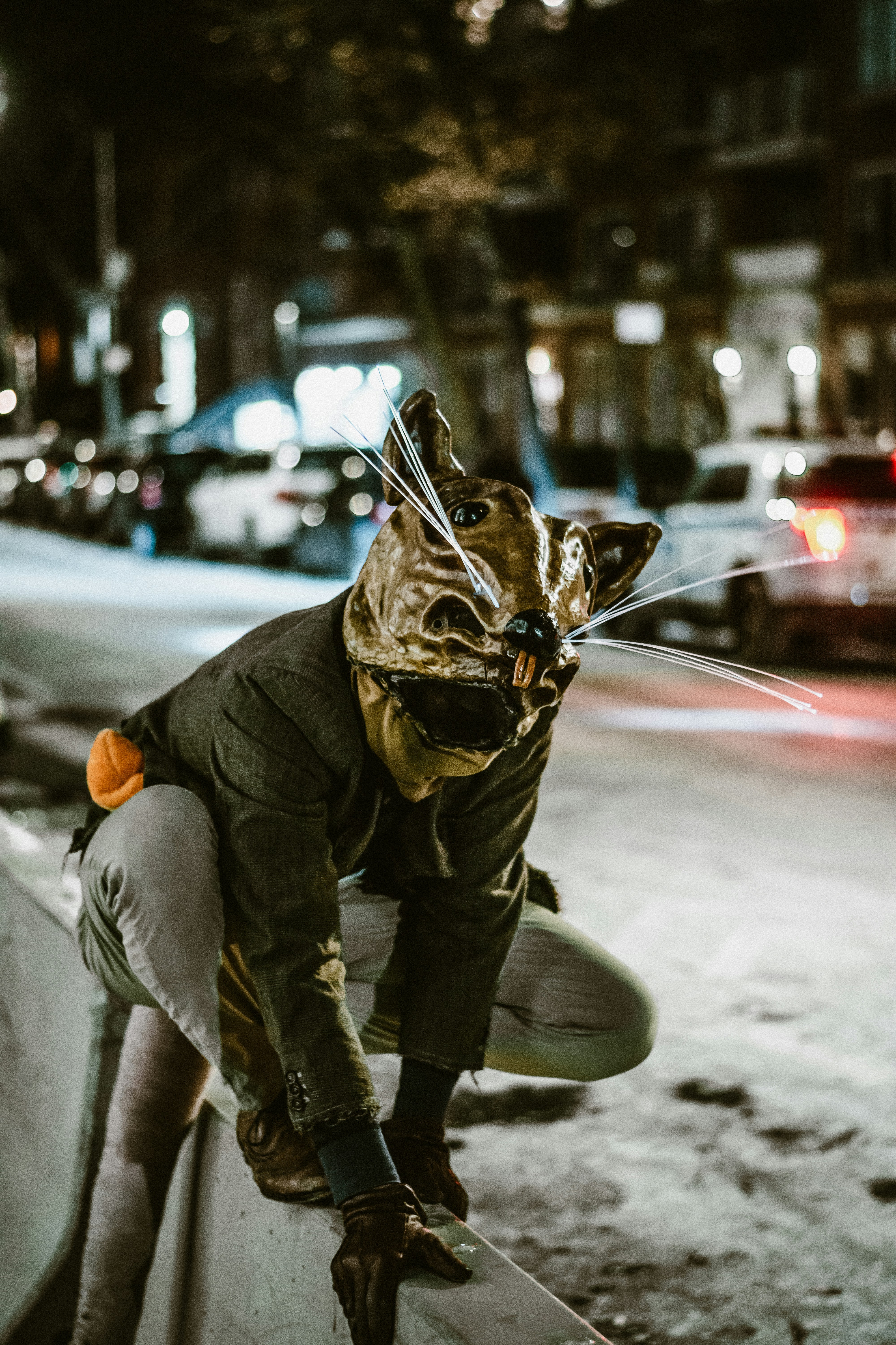 Urban Night Cat in a Tailored Coat
