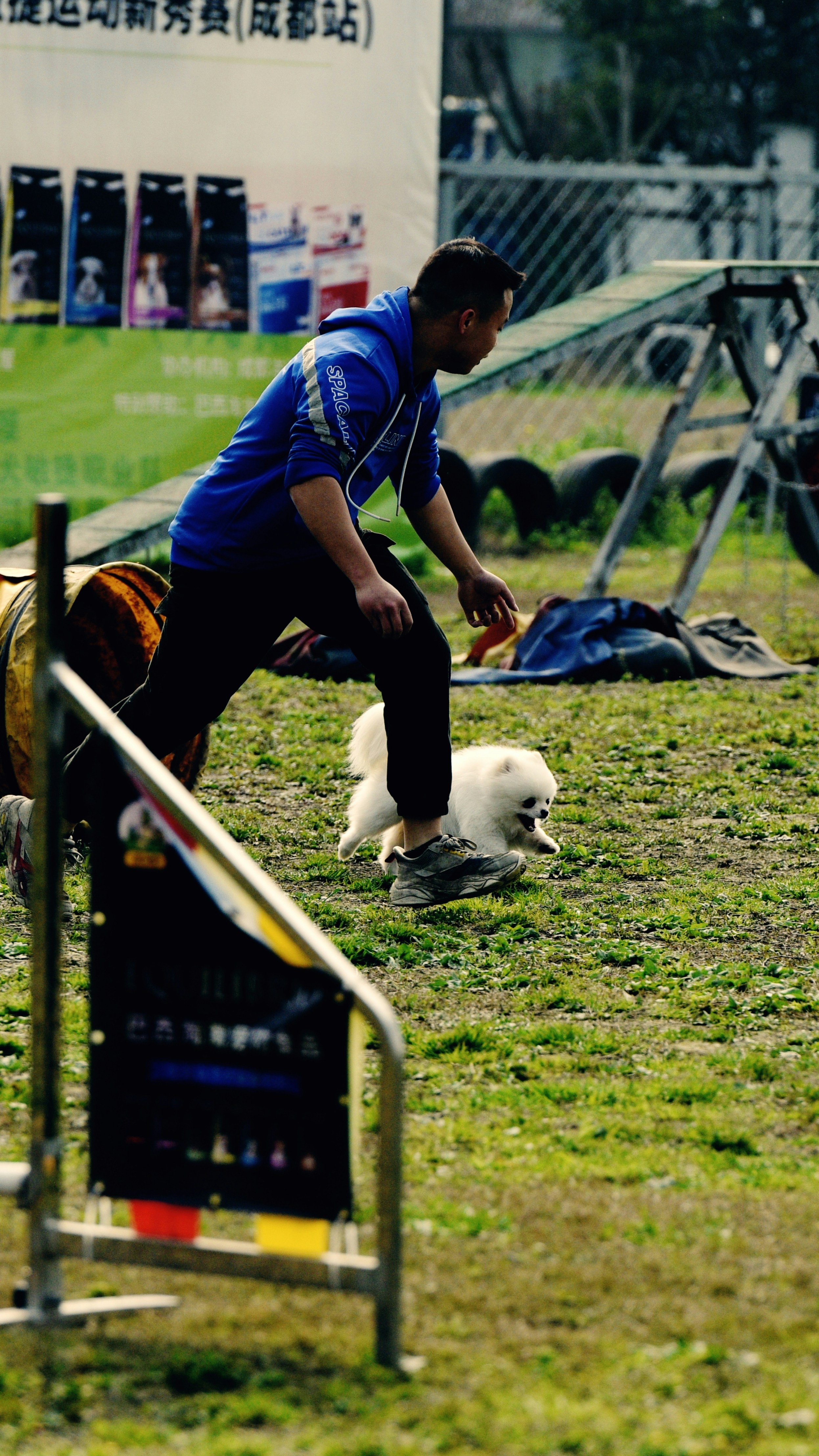 Blue jacket sprint as white fluffy dog winds through the field