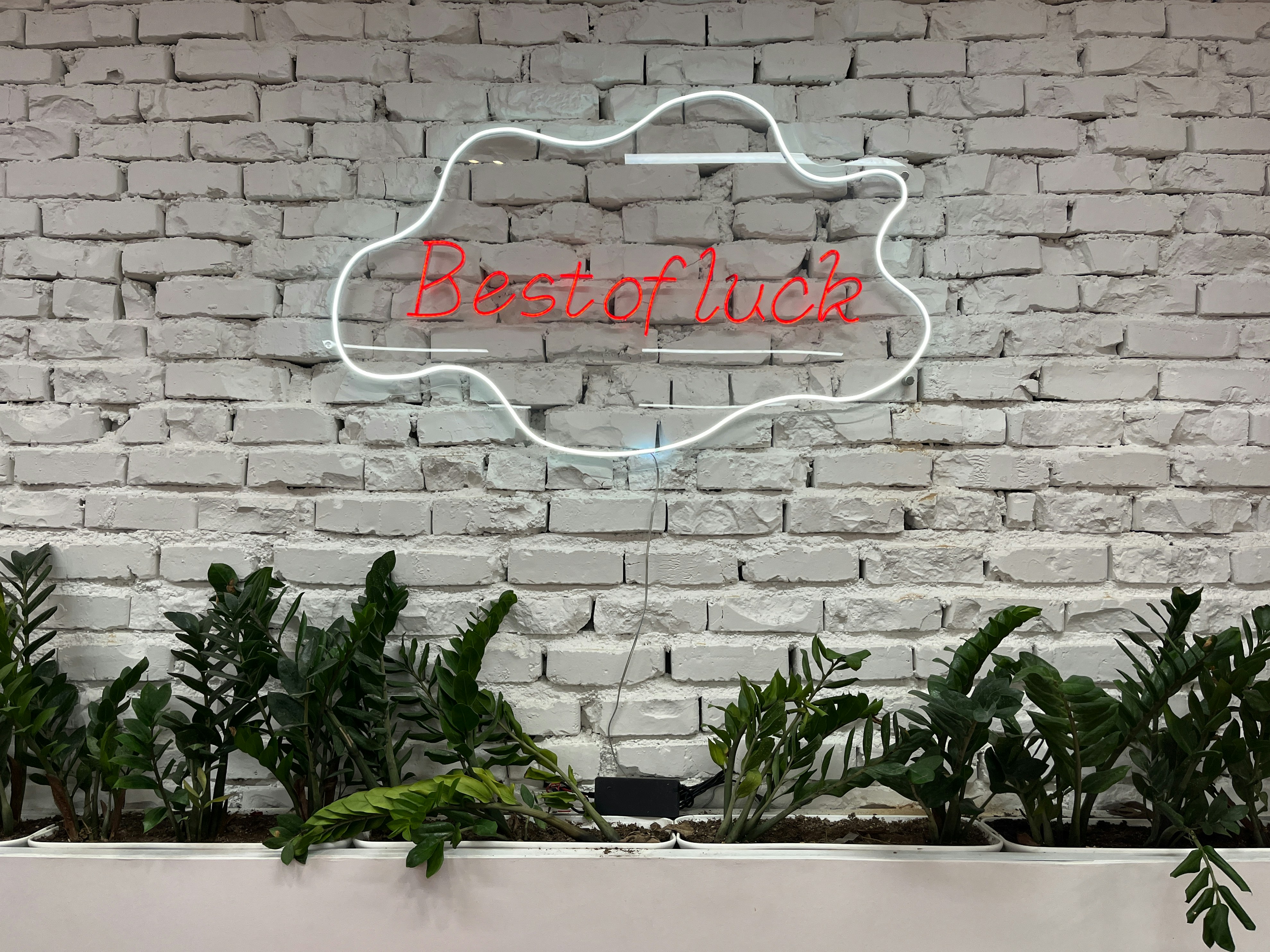 A brick wall with a neon sign that says best of luck photo – Free ...