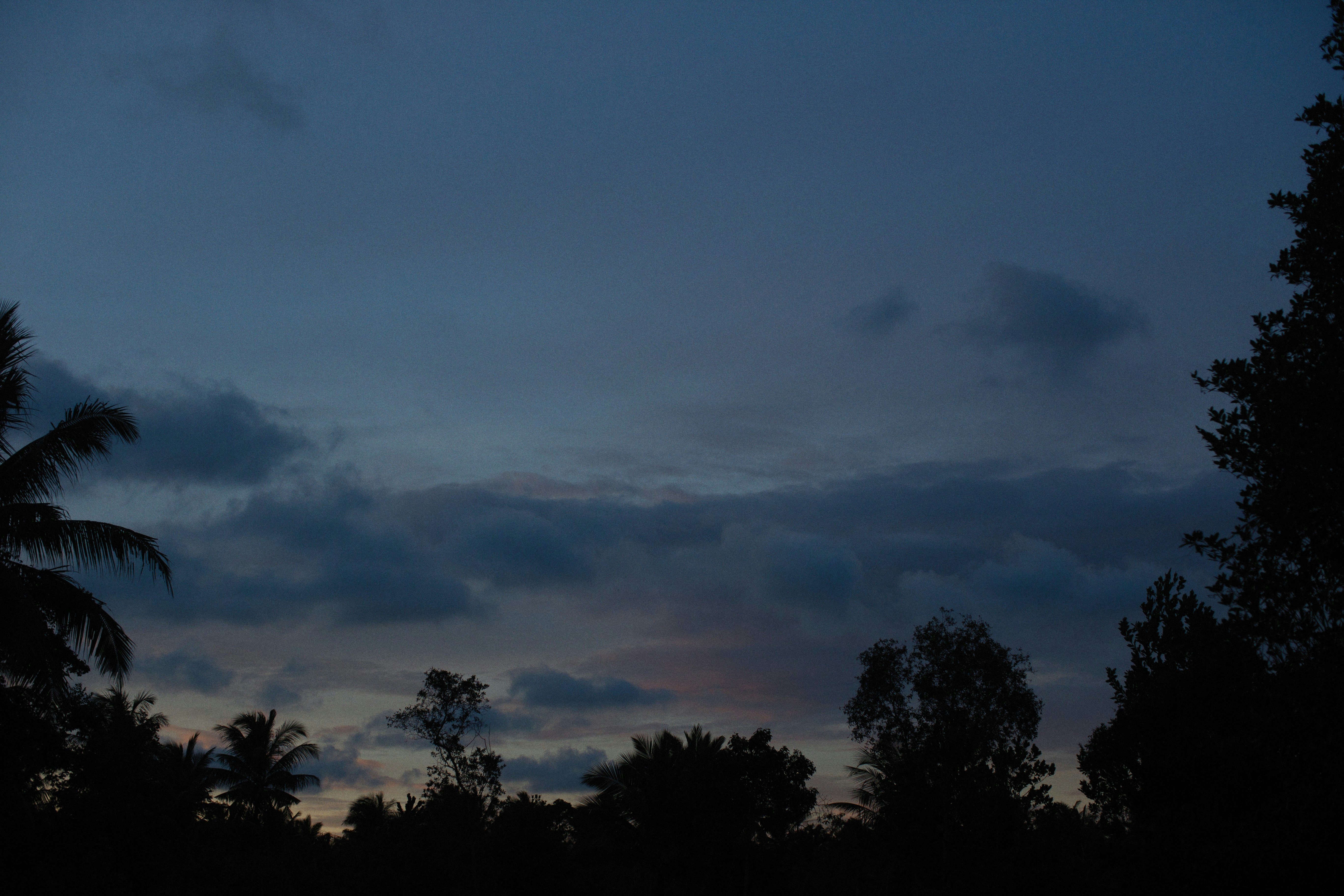 A dark sky with clouds and trees in the foreground photo – Free Space ...