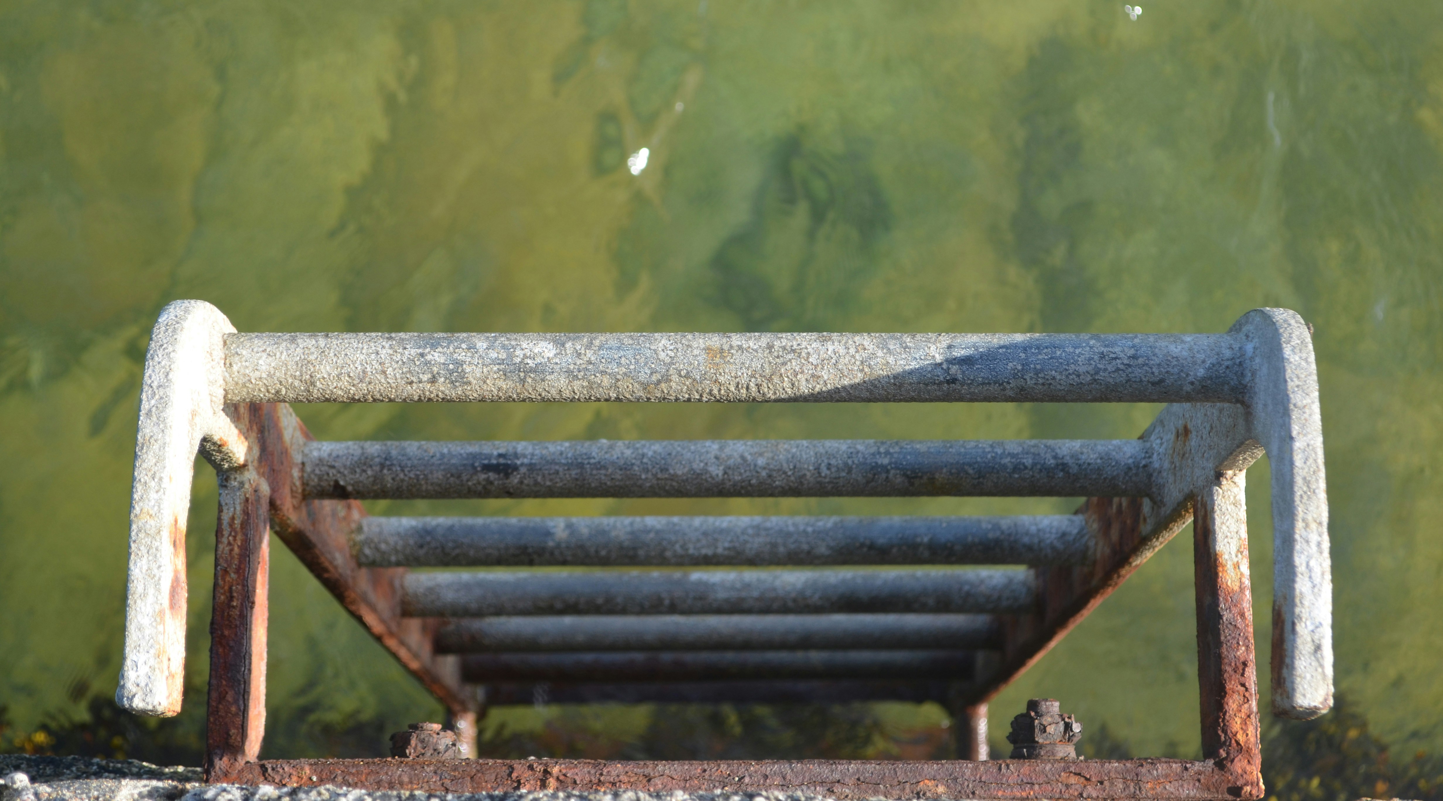 A rusted metal bench sitting next to a body of water photo – Free Grey ...