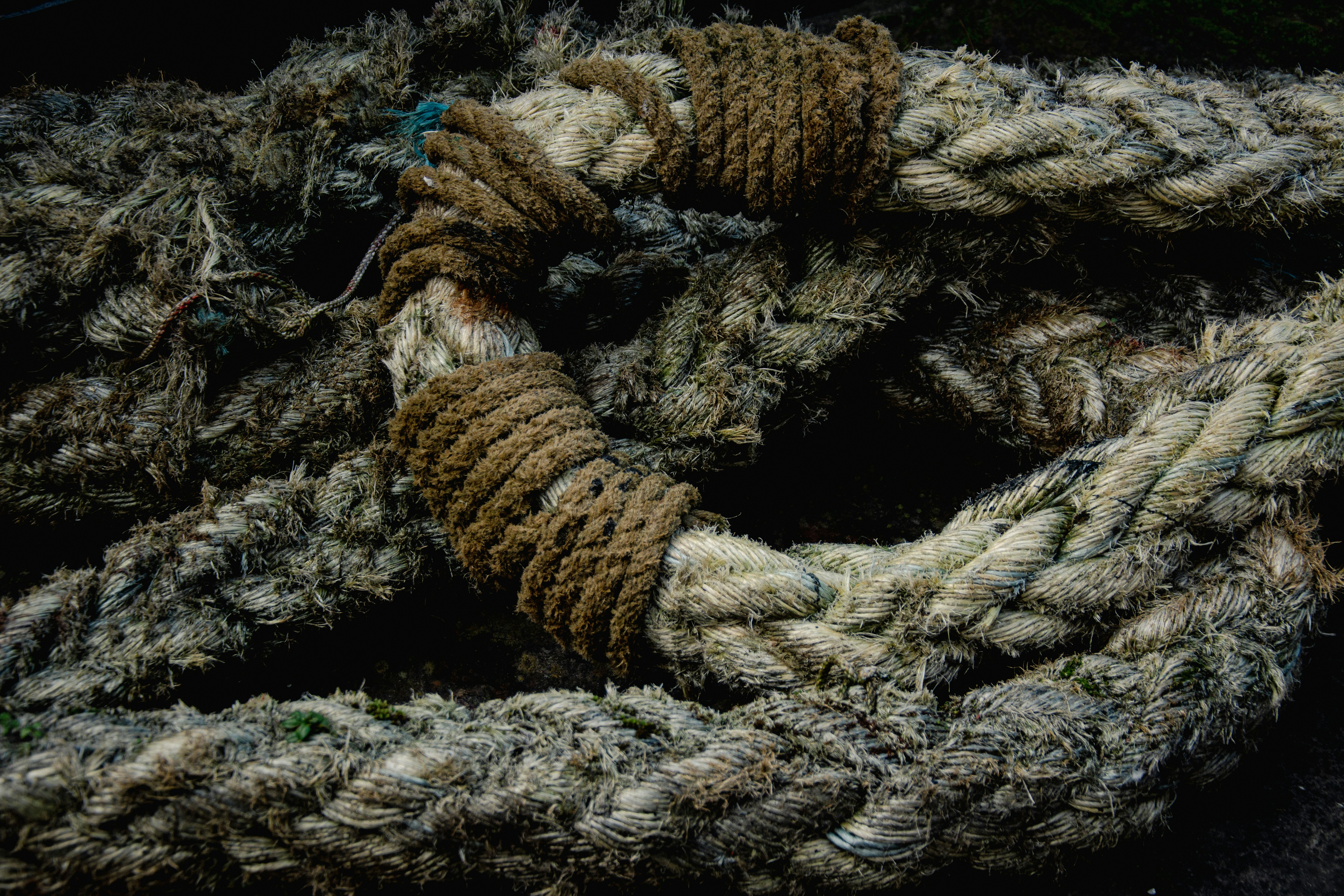 Knot of Time: A Close-Up Portrait of Weathered Rope