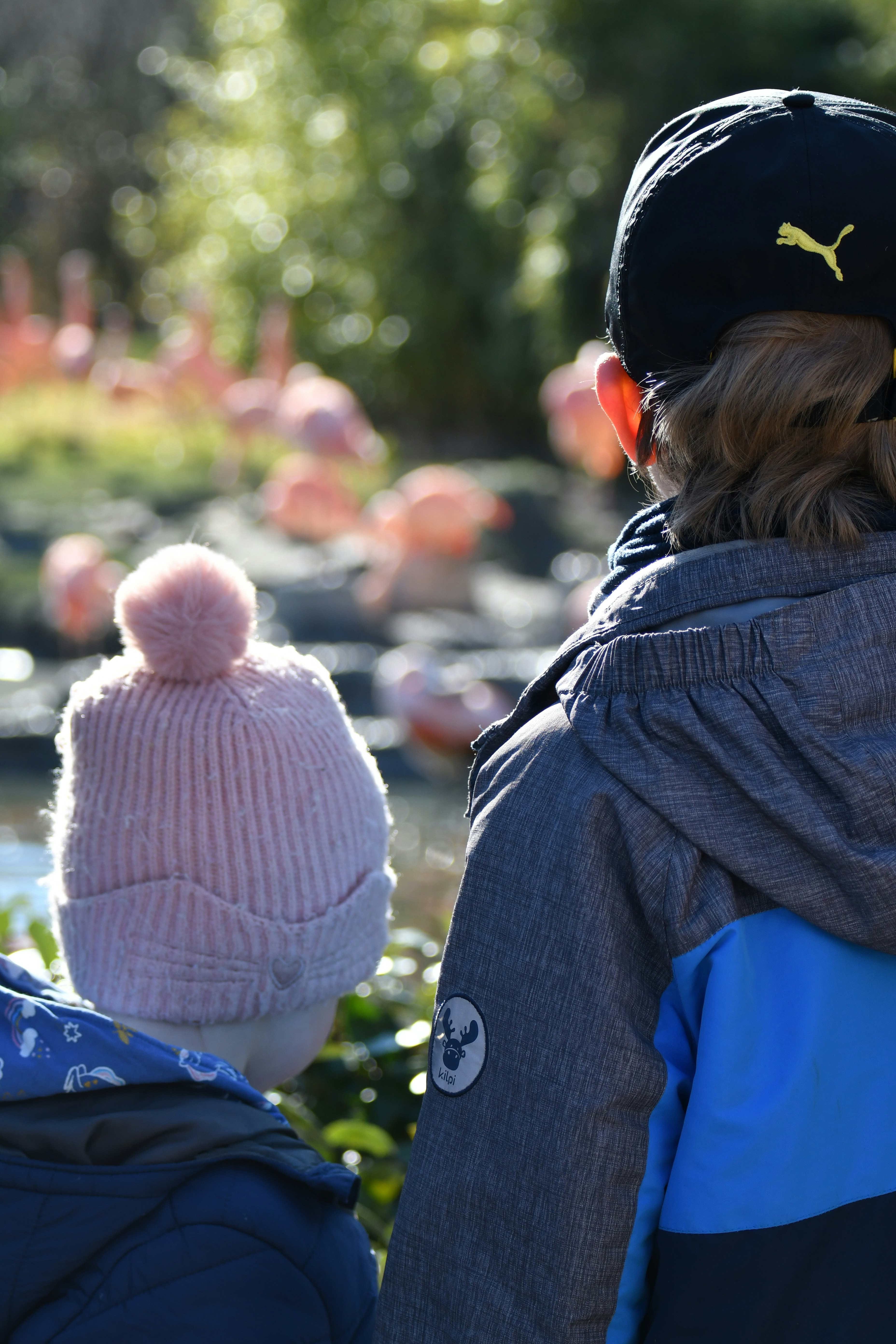 By the Water's Edge: Two Curious Kids Observe a Flamingo Flock
