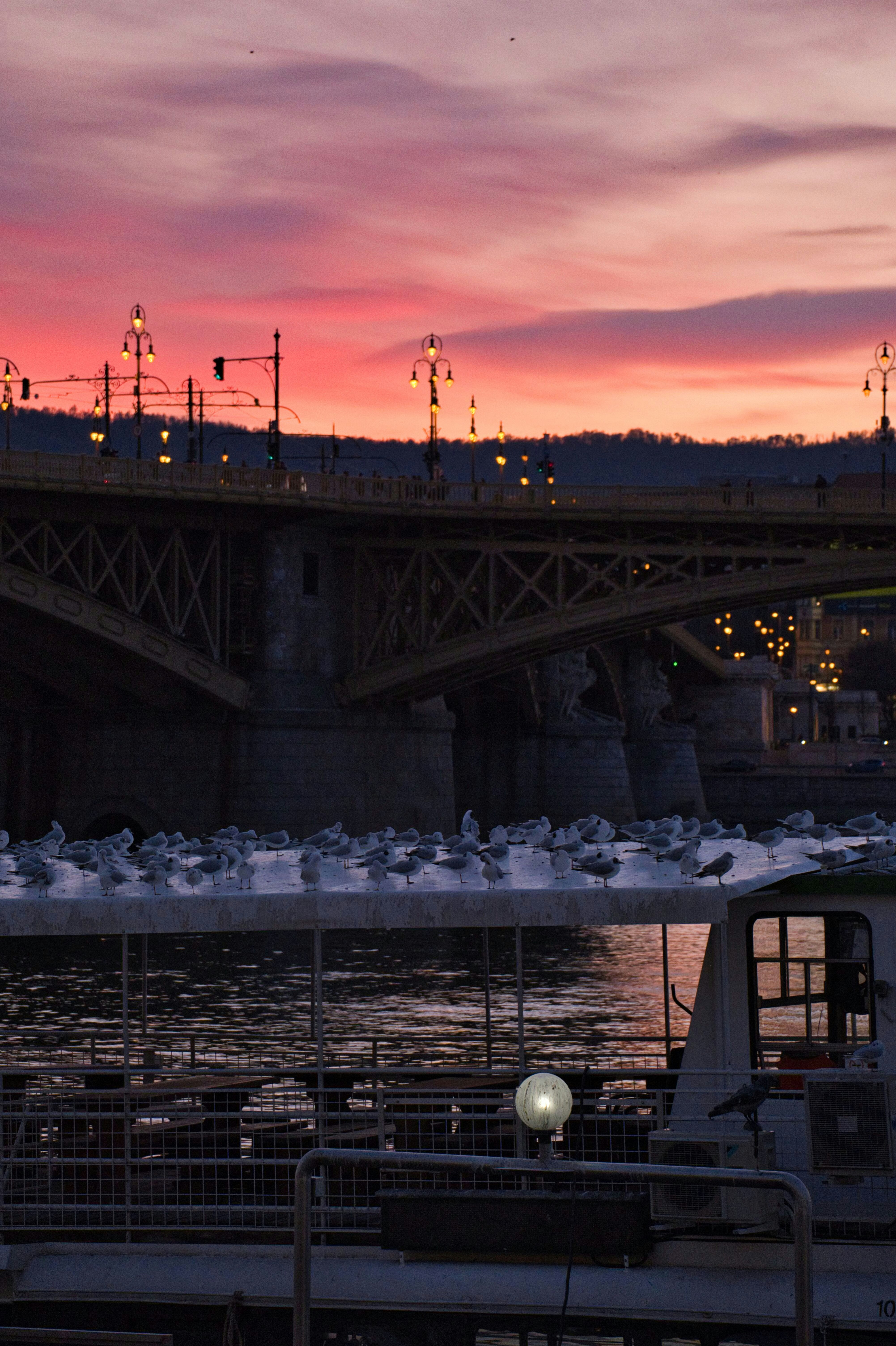 Crimson Dusk Over the Iron Bridge: Lanterns Glow Across a Quiet Harbor