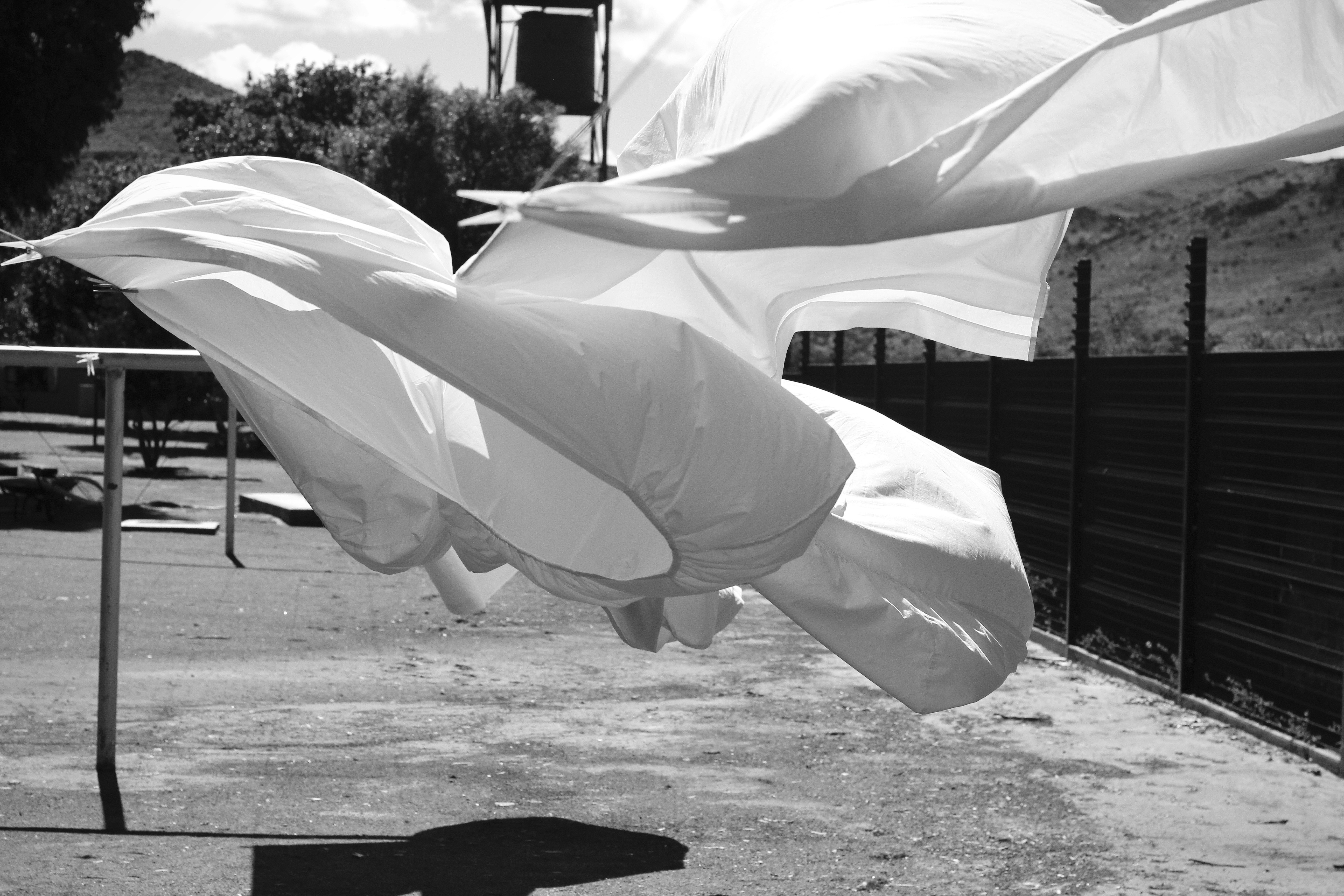 Whispers of White Cloth in a Wind-Swept Yard