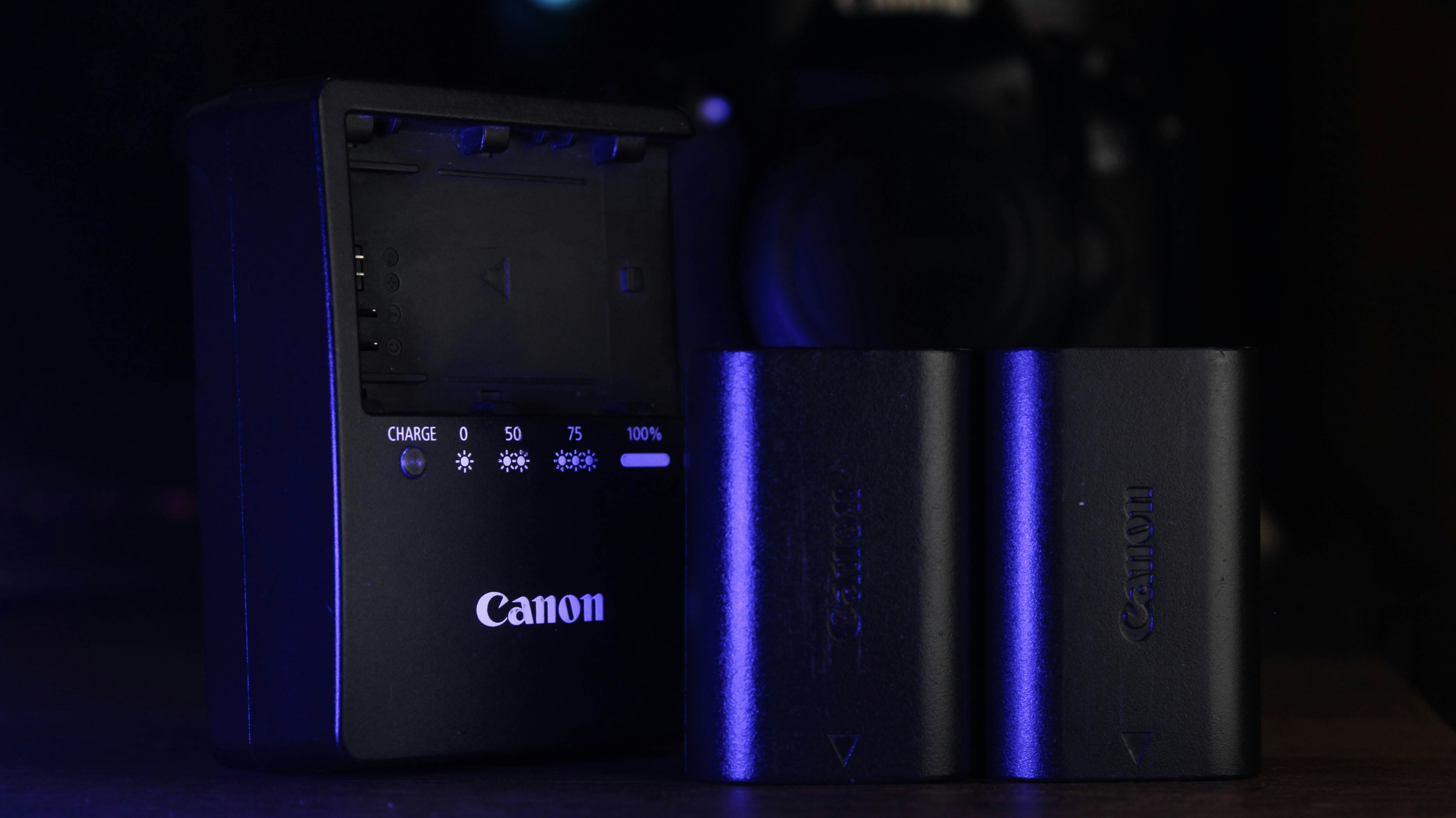 Twin Batteries Guard the Canon Battery Grip in Dim Light