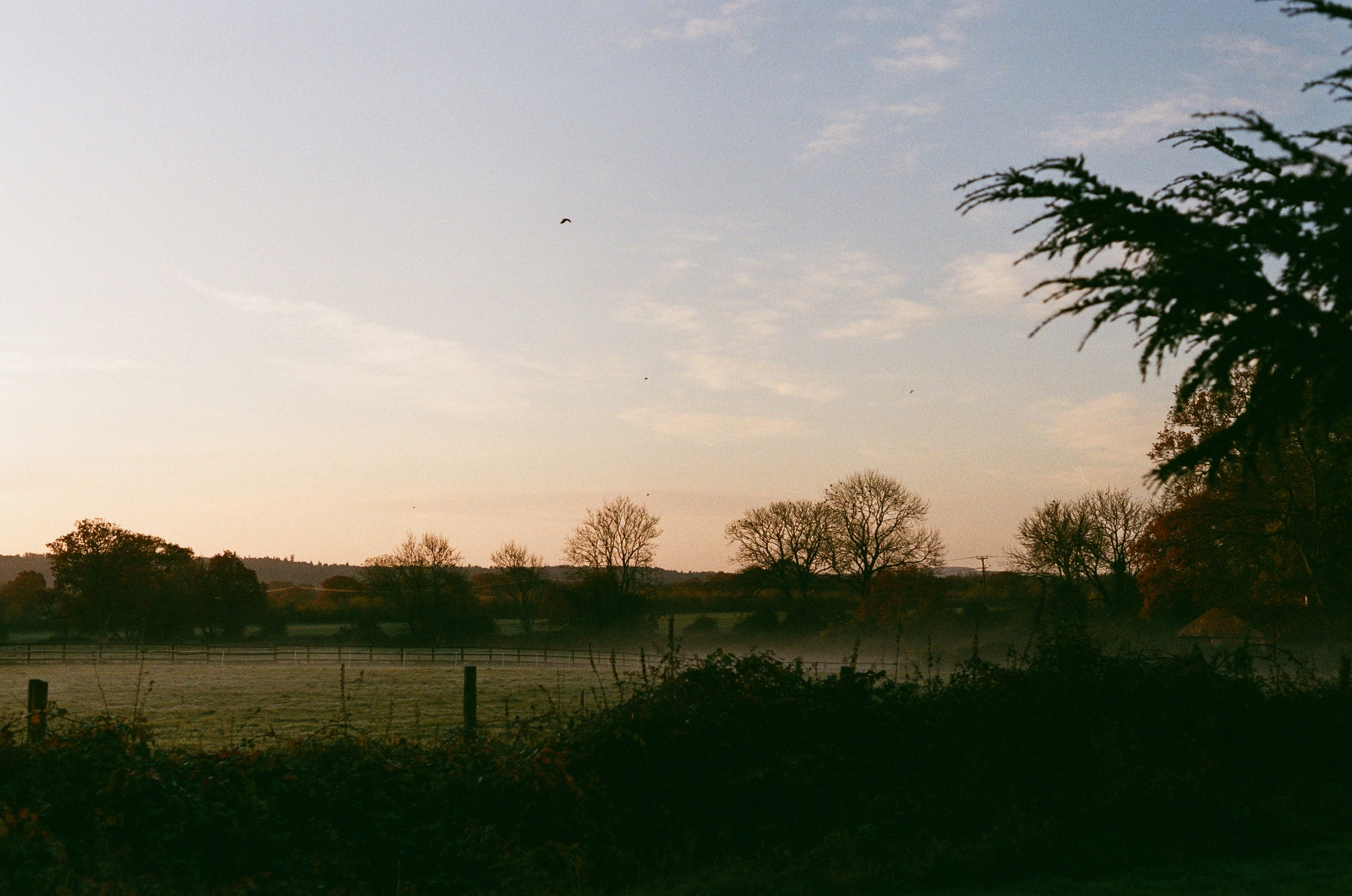Mist rises from the earth. Birds fly overhead.