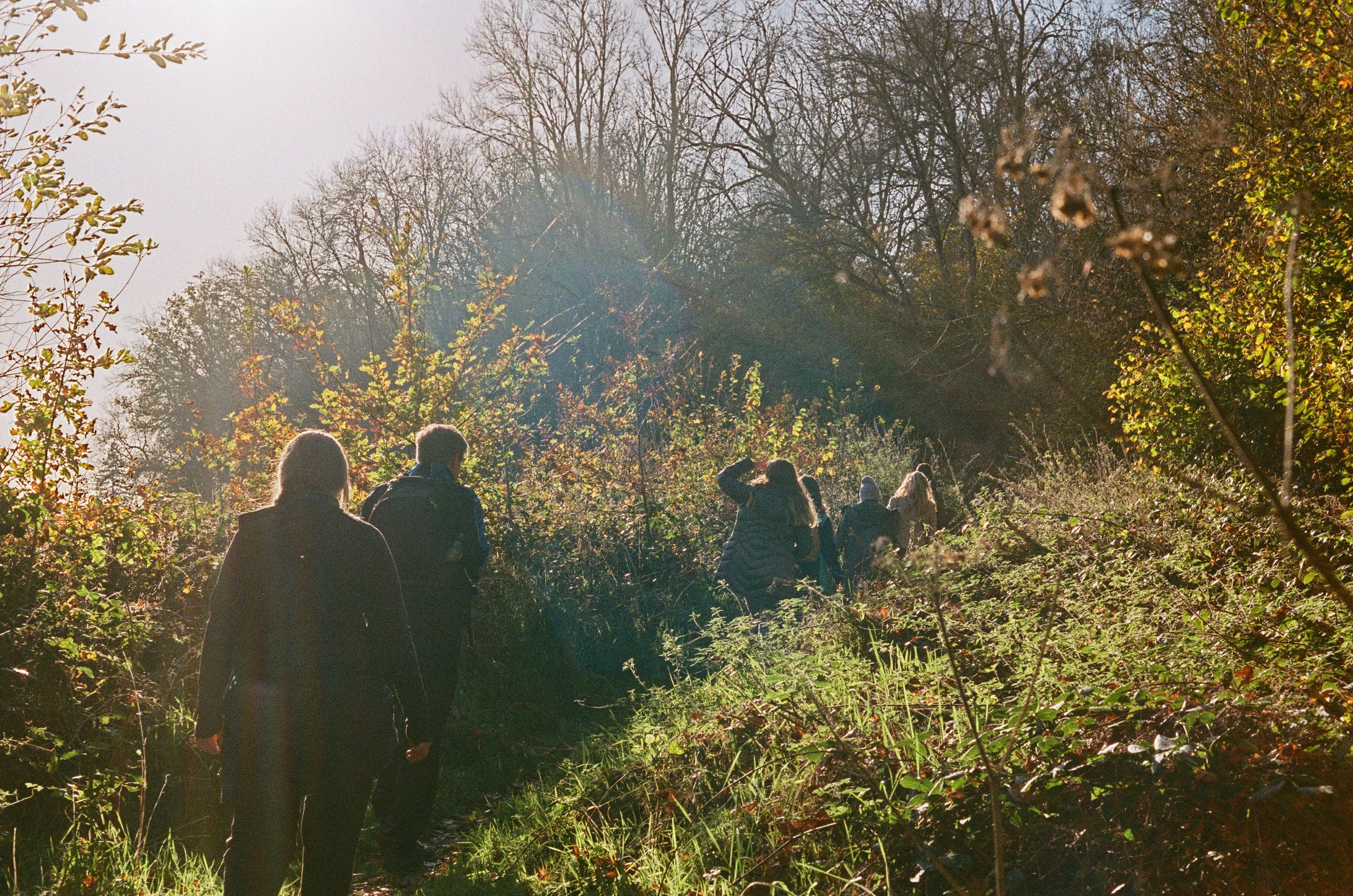 Sunlit trail with a small group walking uphill through tall grasses and shrubs, backlit by the low autumn sun, with warm, earthy tones.