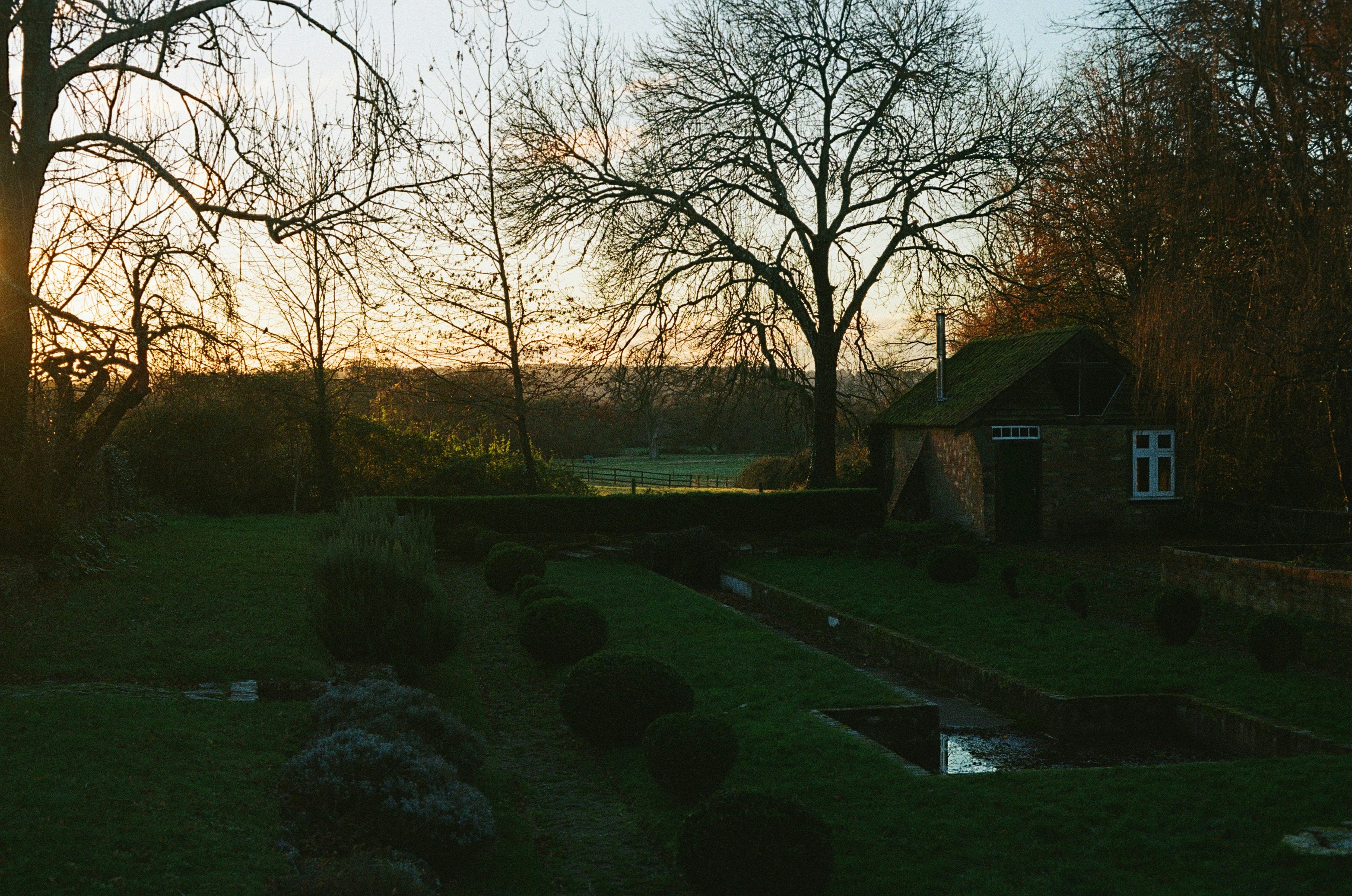 The sun is setting in the distance over a garden photo – Free Greatham ...