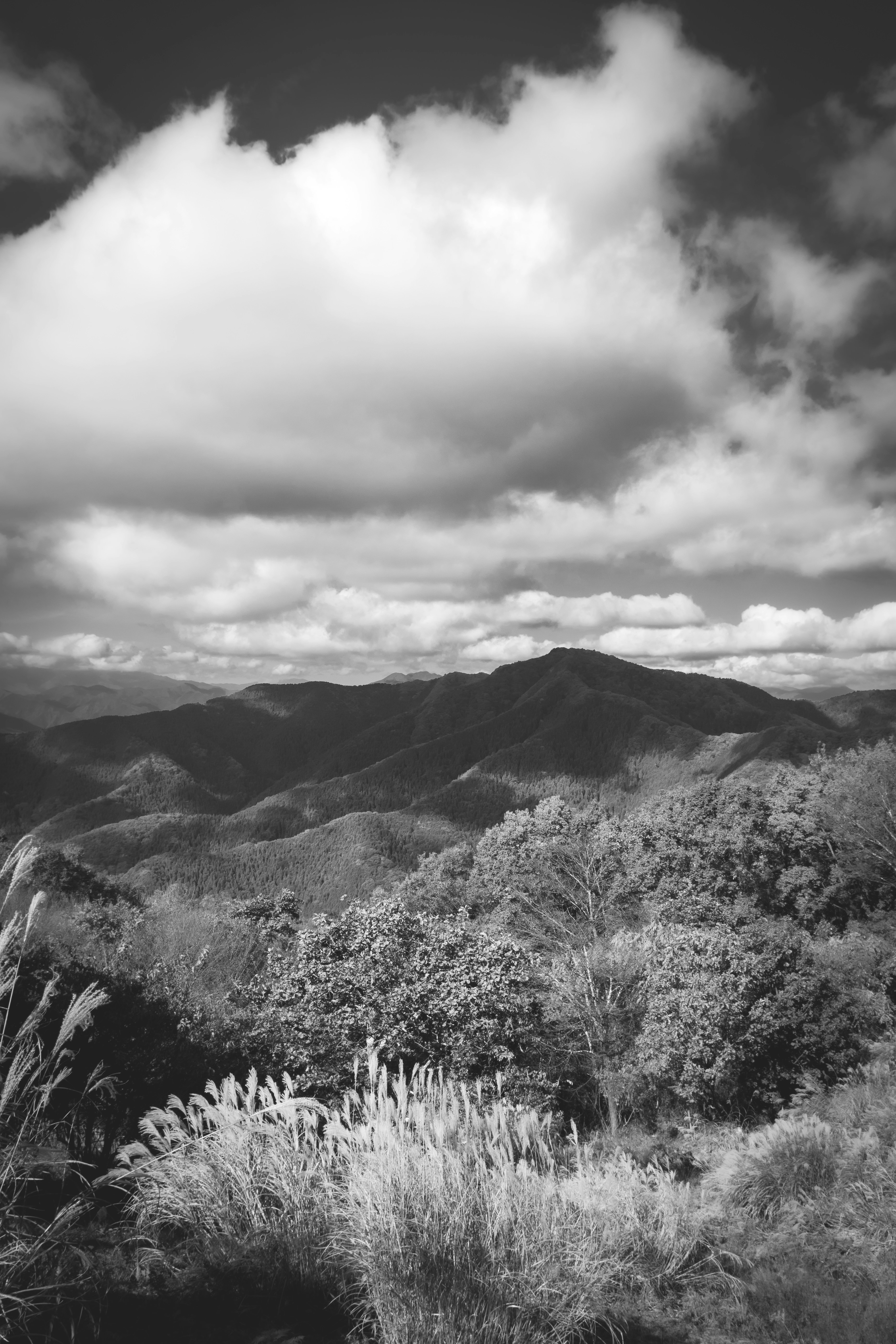 Dramatic black and white landscape showcasing rolling hills and dense foliage under a dynamic sky filled with clouds.