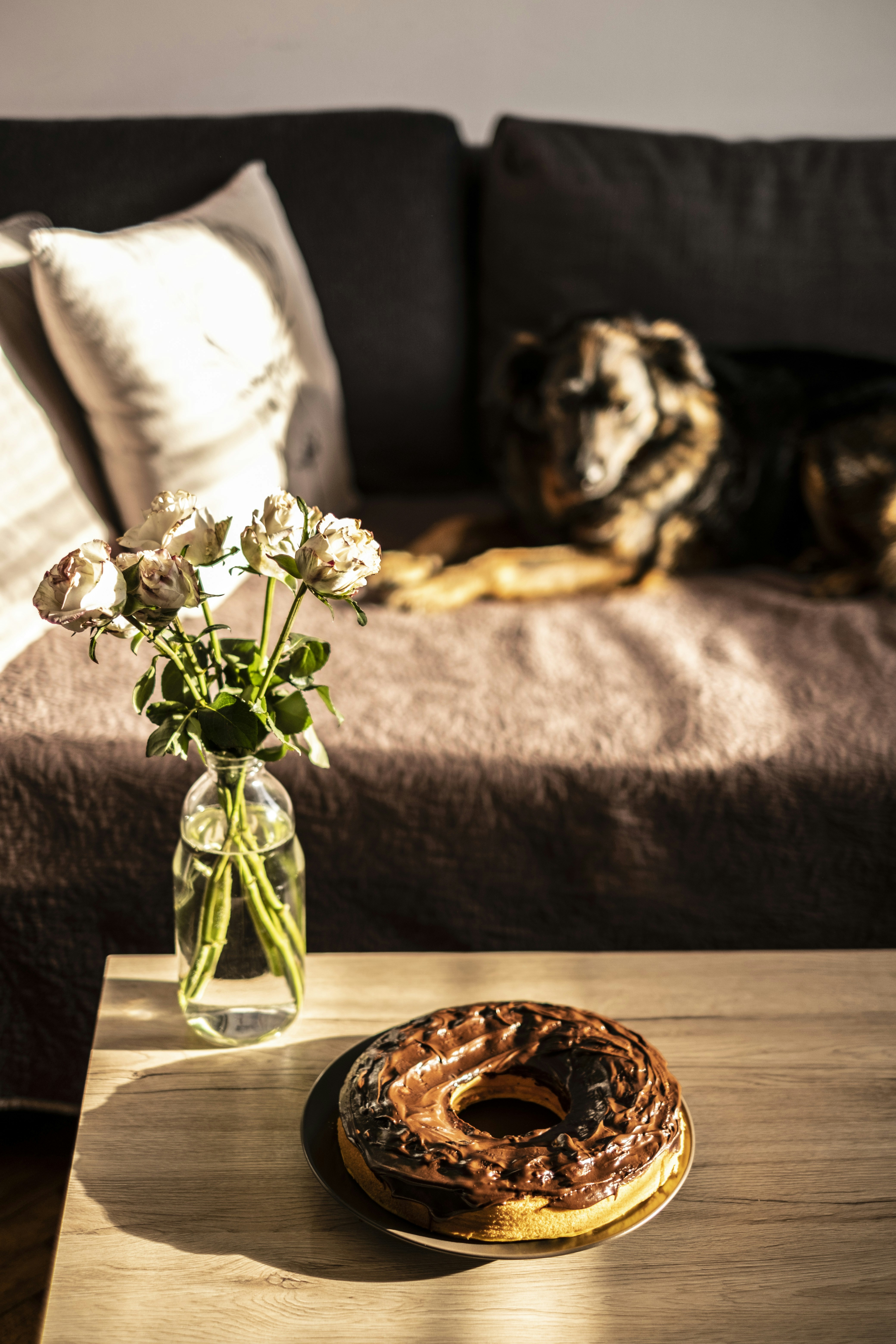 Petals in Glass, Chocolate Ring on Wood: A Cozy Living Room Moment