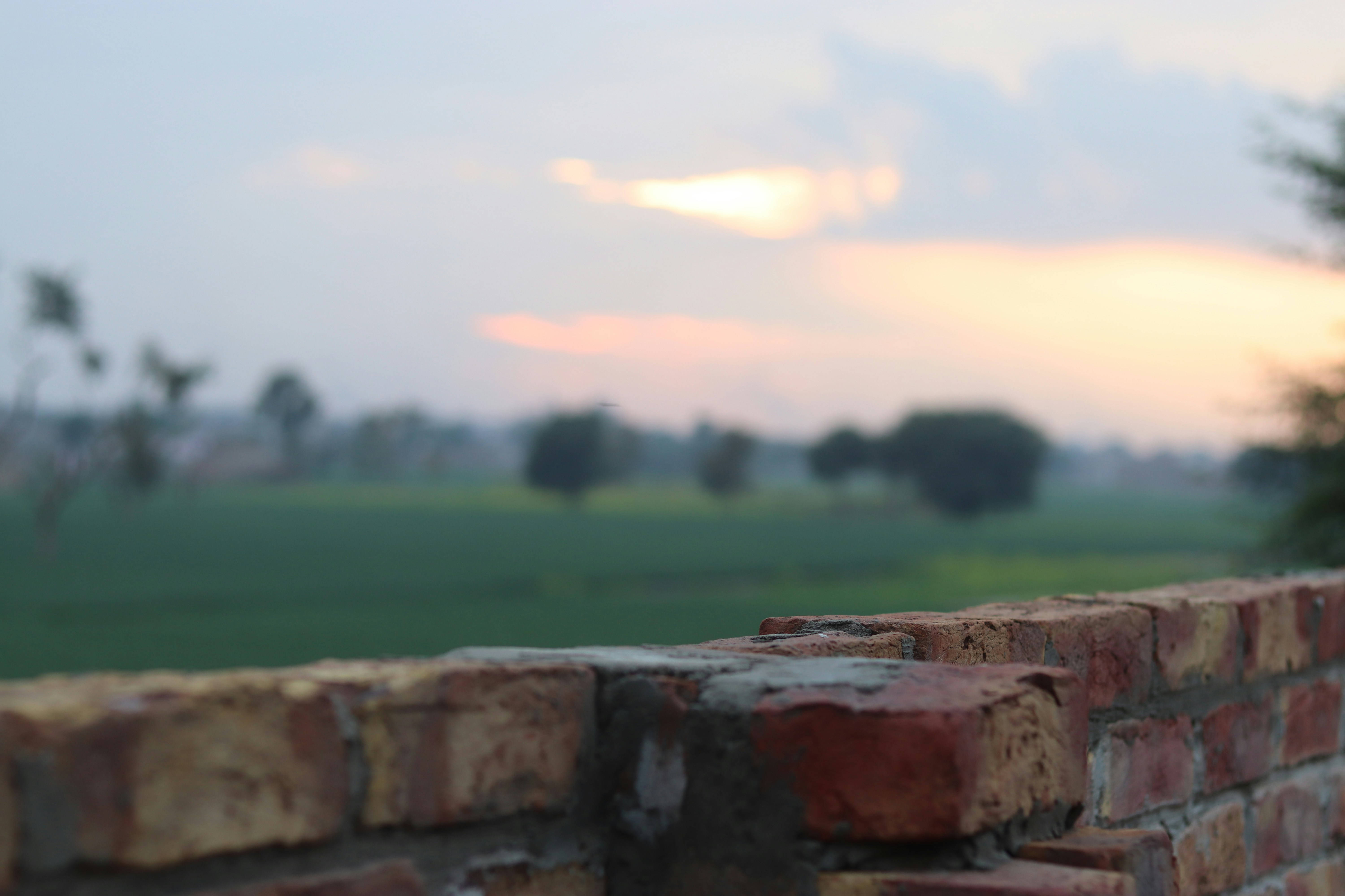 A brick wall with a sunset in the background photo – Free Photography ...