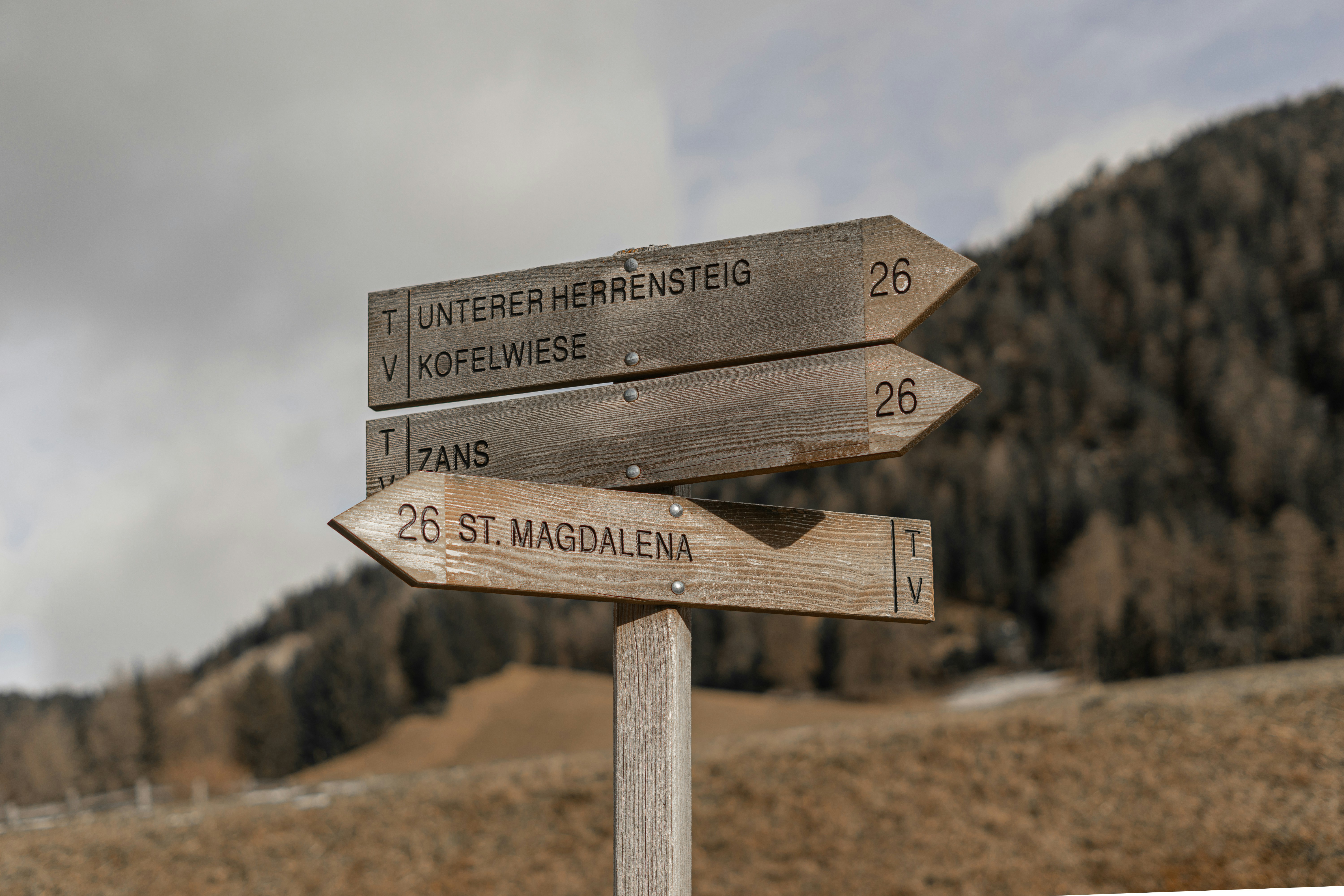 A wooden sign pointing in different directions in front of a mountain ...