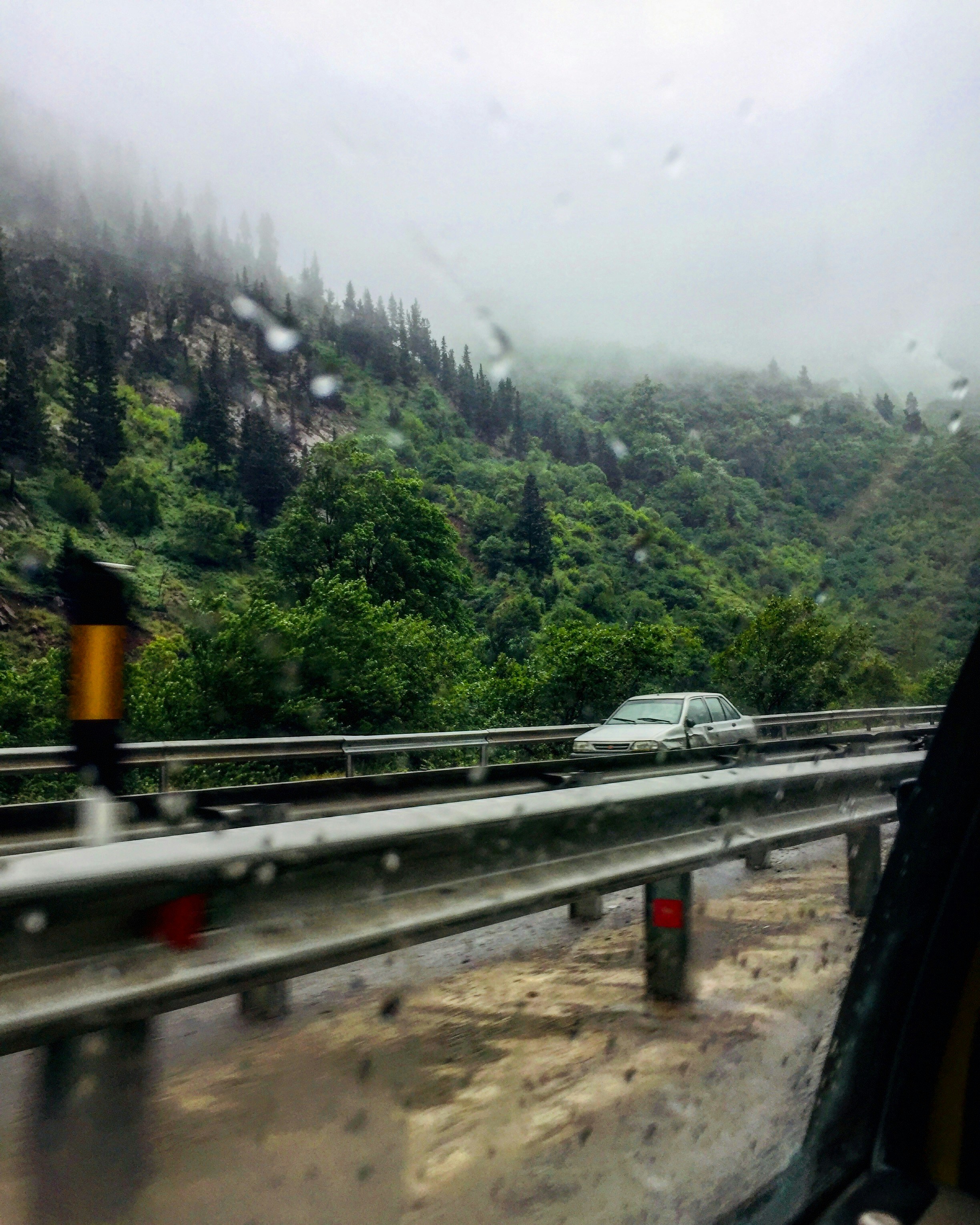 Rain-soaked highway framed by vibrant green foliage and misty mountains in the background. A lone car navigates through the wet conditions.