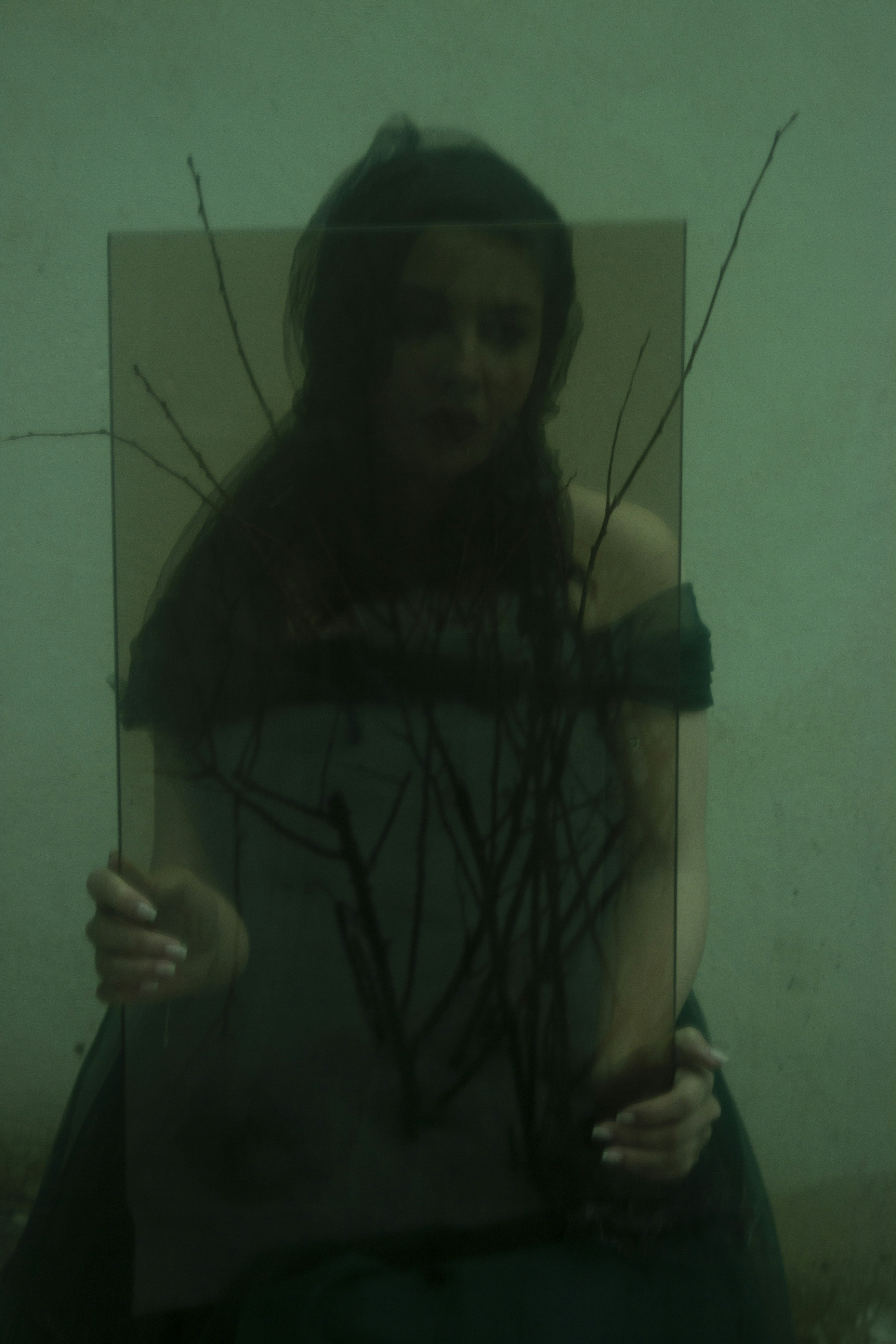 Framed by Branches: A Quiet Portrait Within a Shadowed Glass
