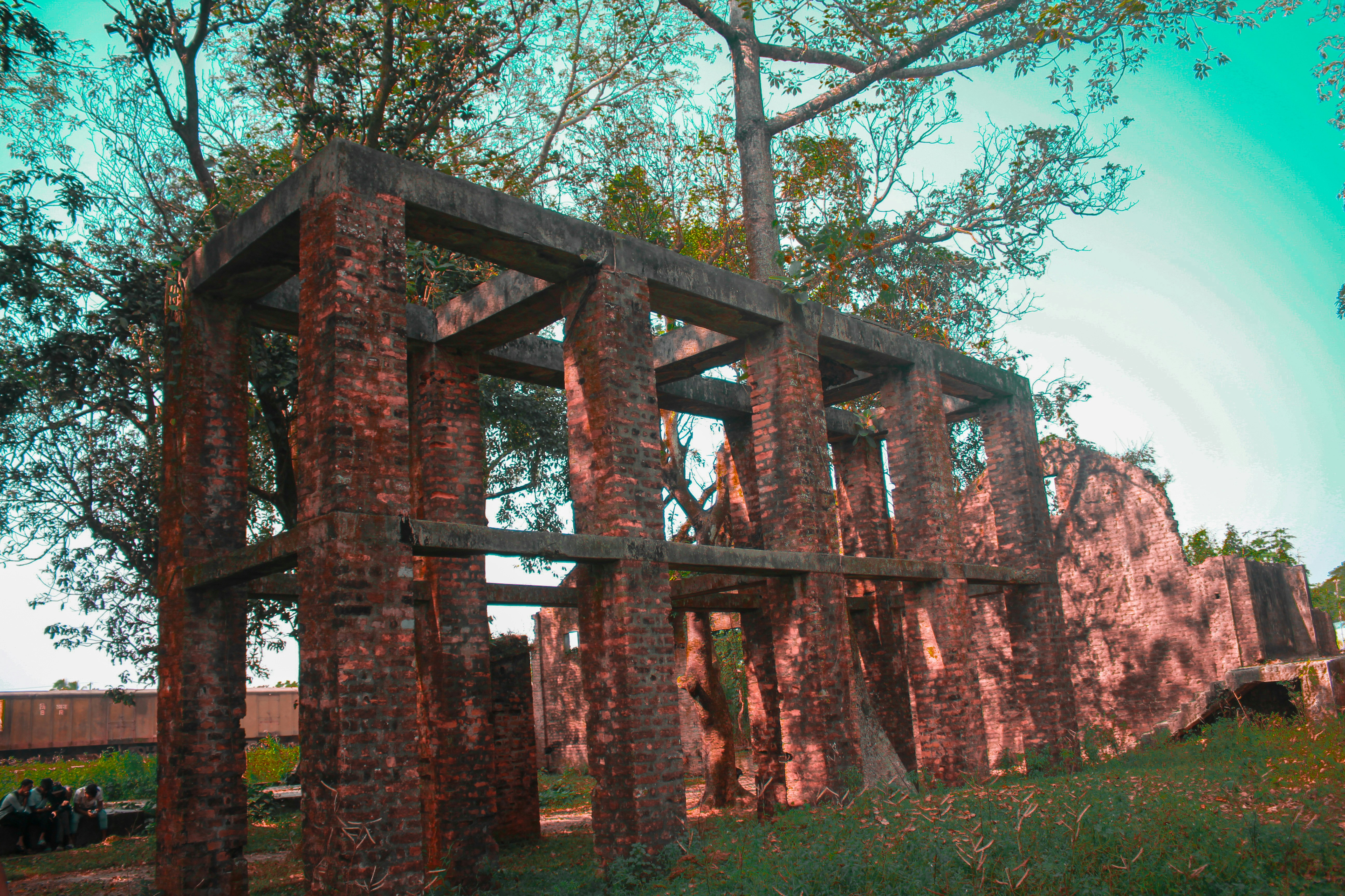 Rusted Columns and Sunlit Ruins: A Timeworn Concrete Frame in the Park