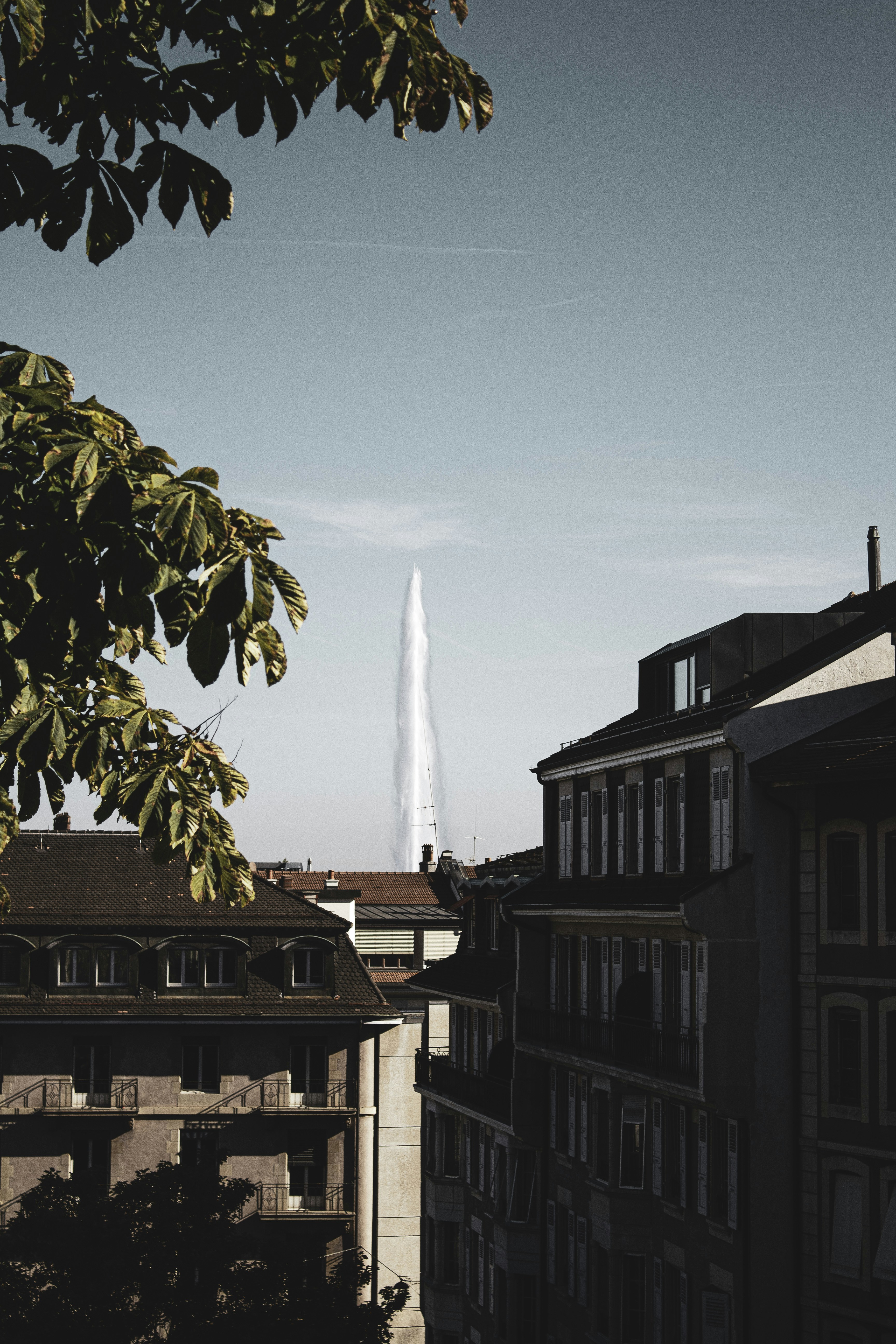 Needle over the Canopy: Jet d'Eau in a Quiet Cityscape