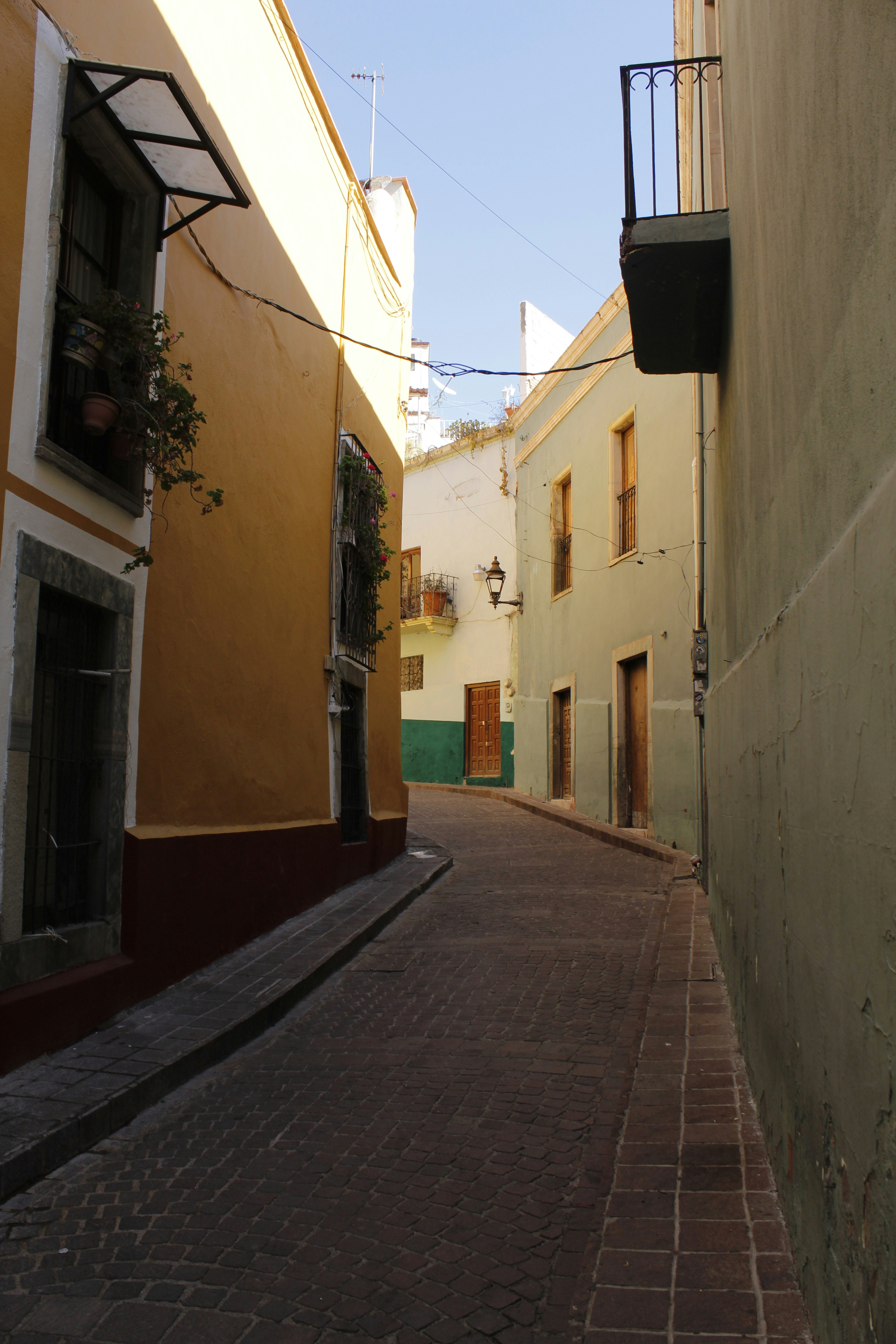 Photo by Luz Noemi with Canon EOS 1300D