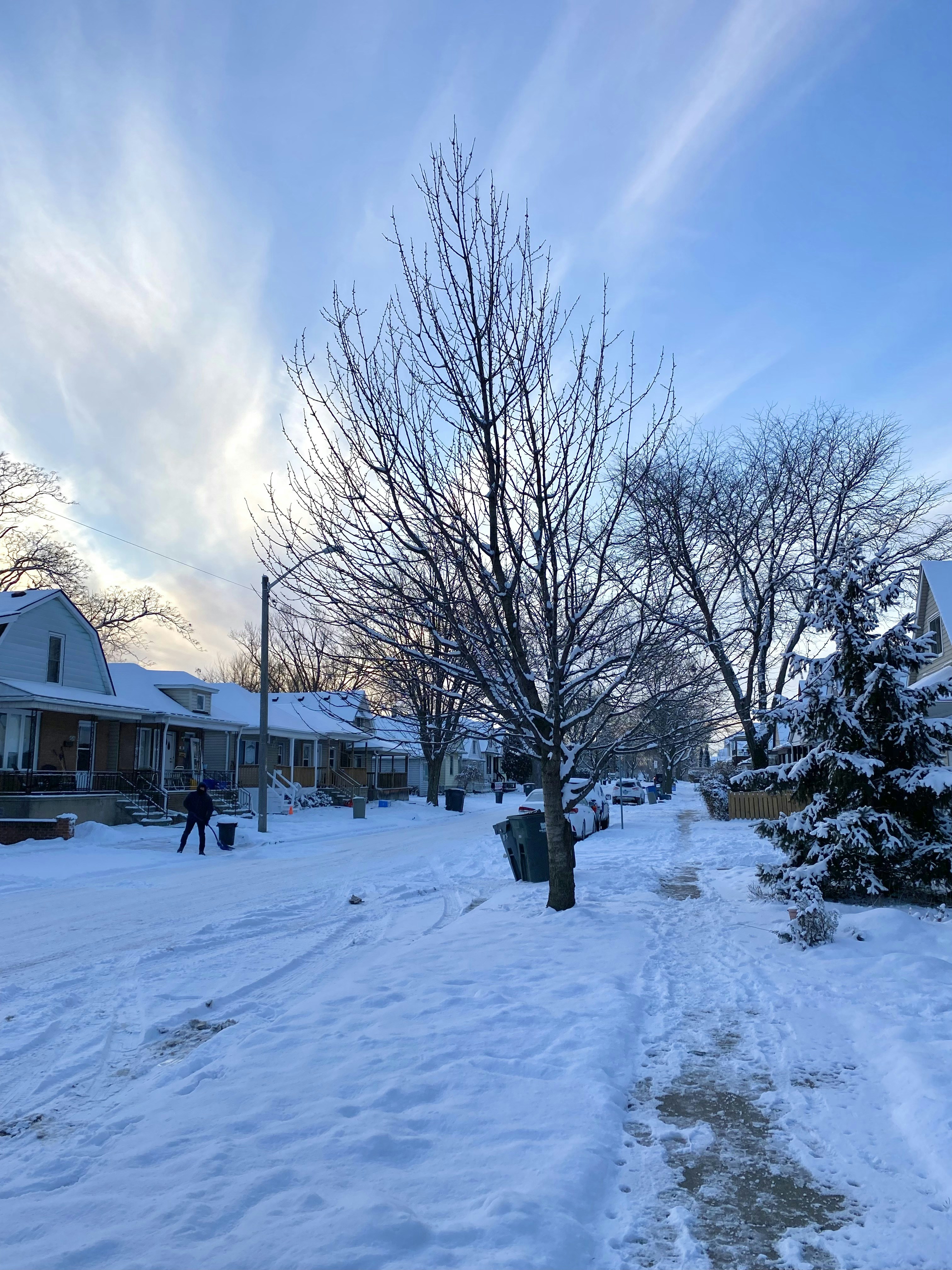 a snow covered street with houses and trees