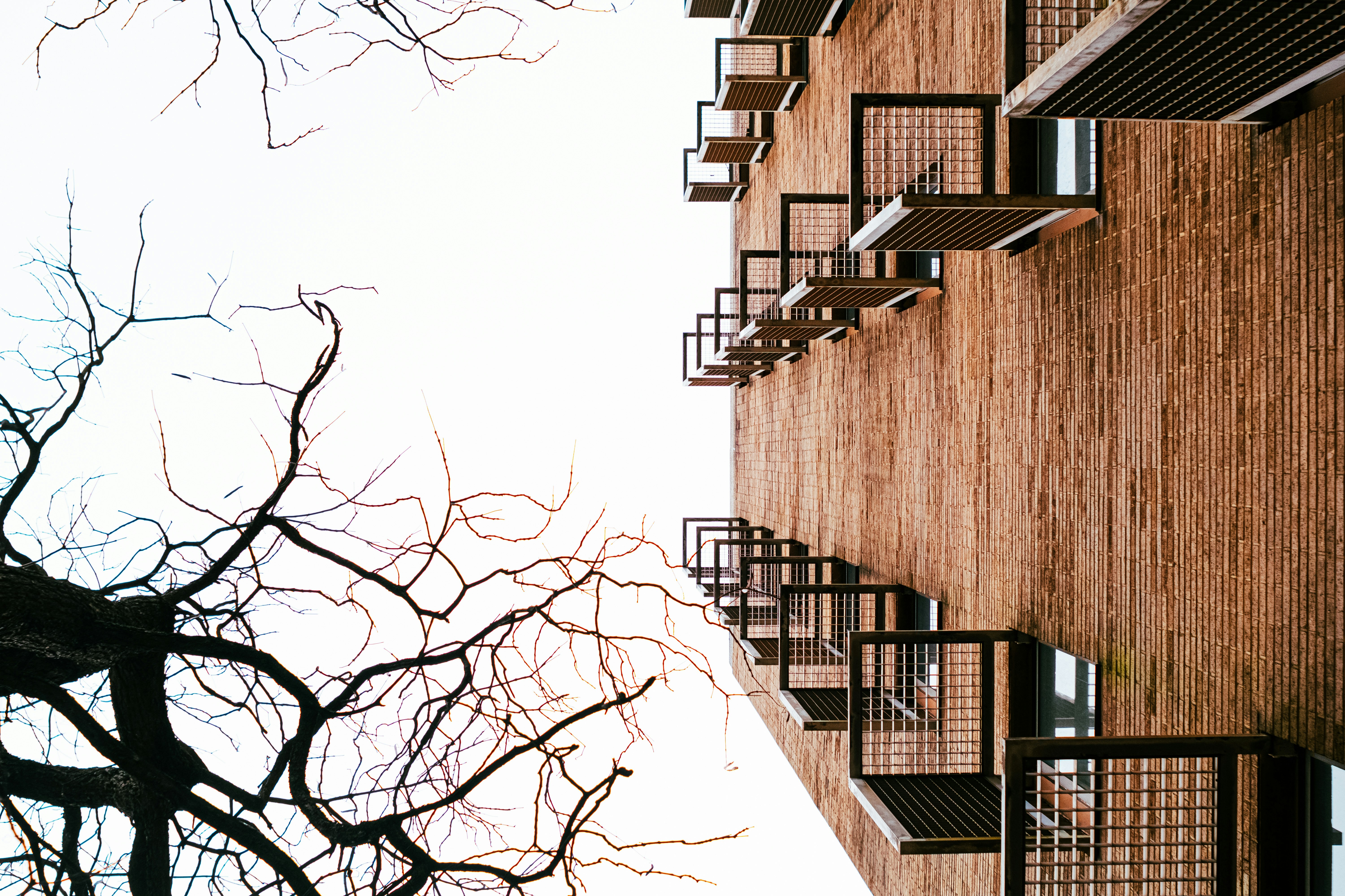 A tall building with balconies and a tree in front of it photo – Free ...