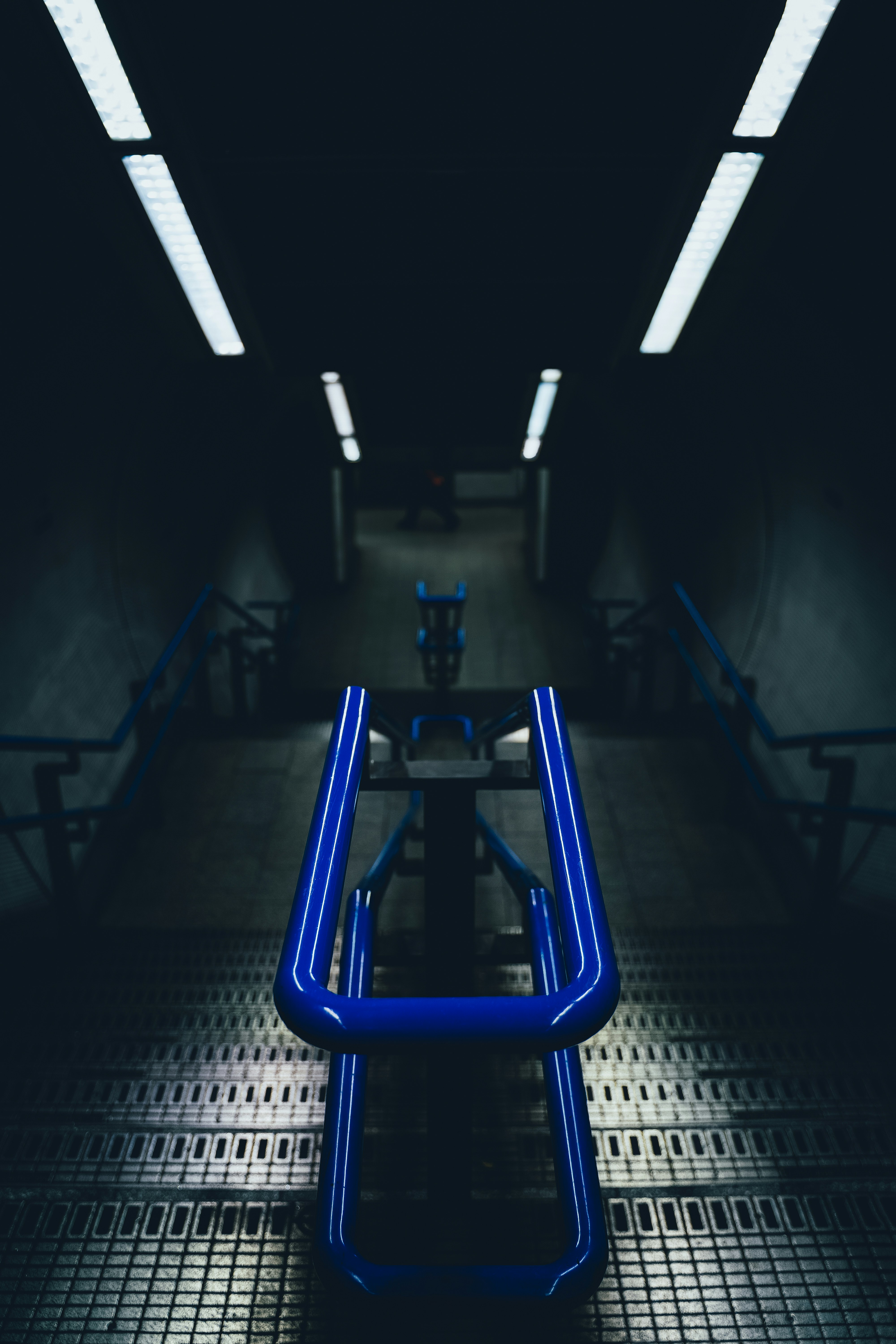 Neon Handrails Lead the Descent Through the Subterranean Tunnel