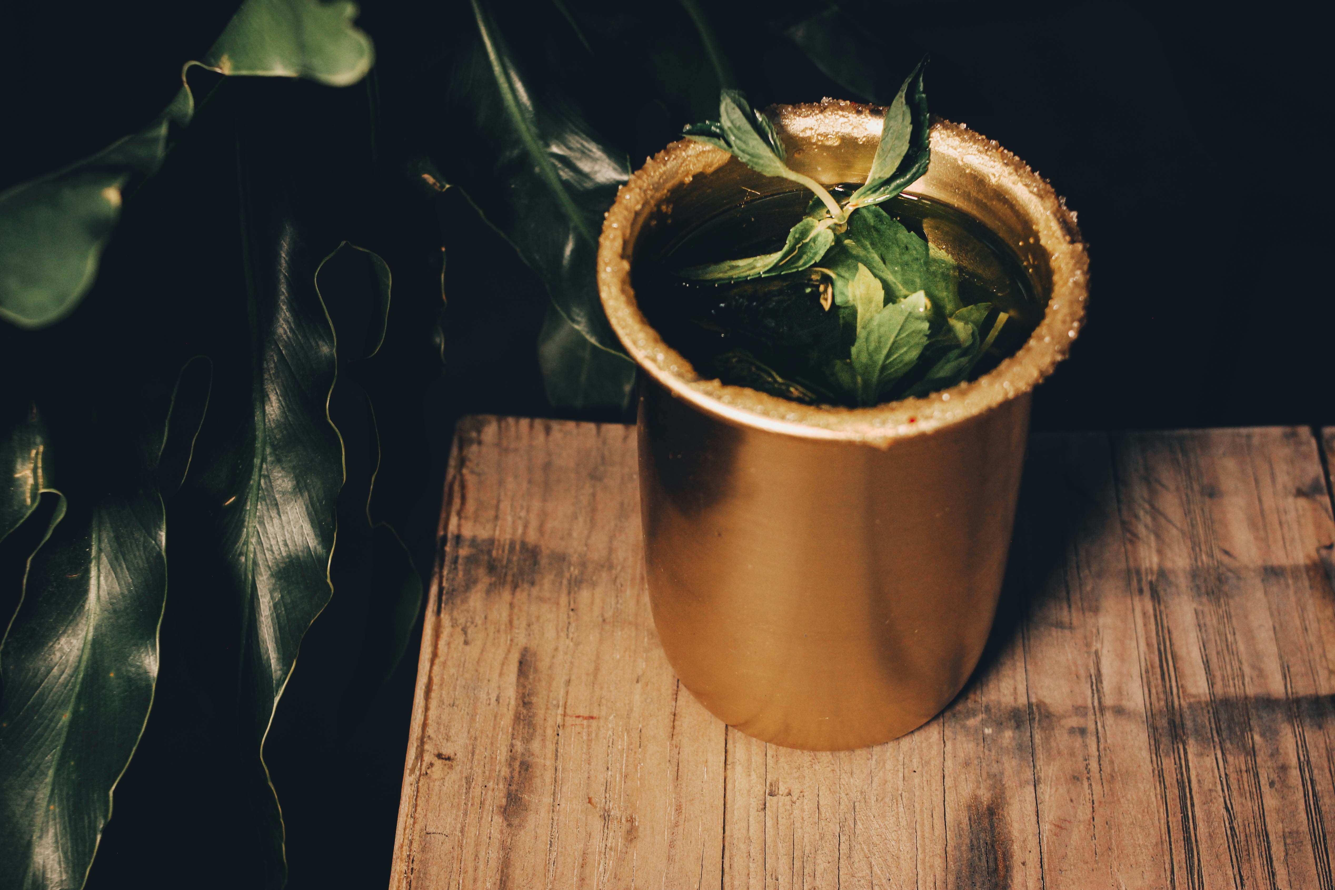 a potted plant sitting on top of a wooden table
