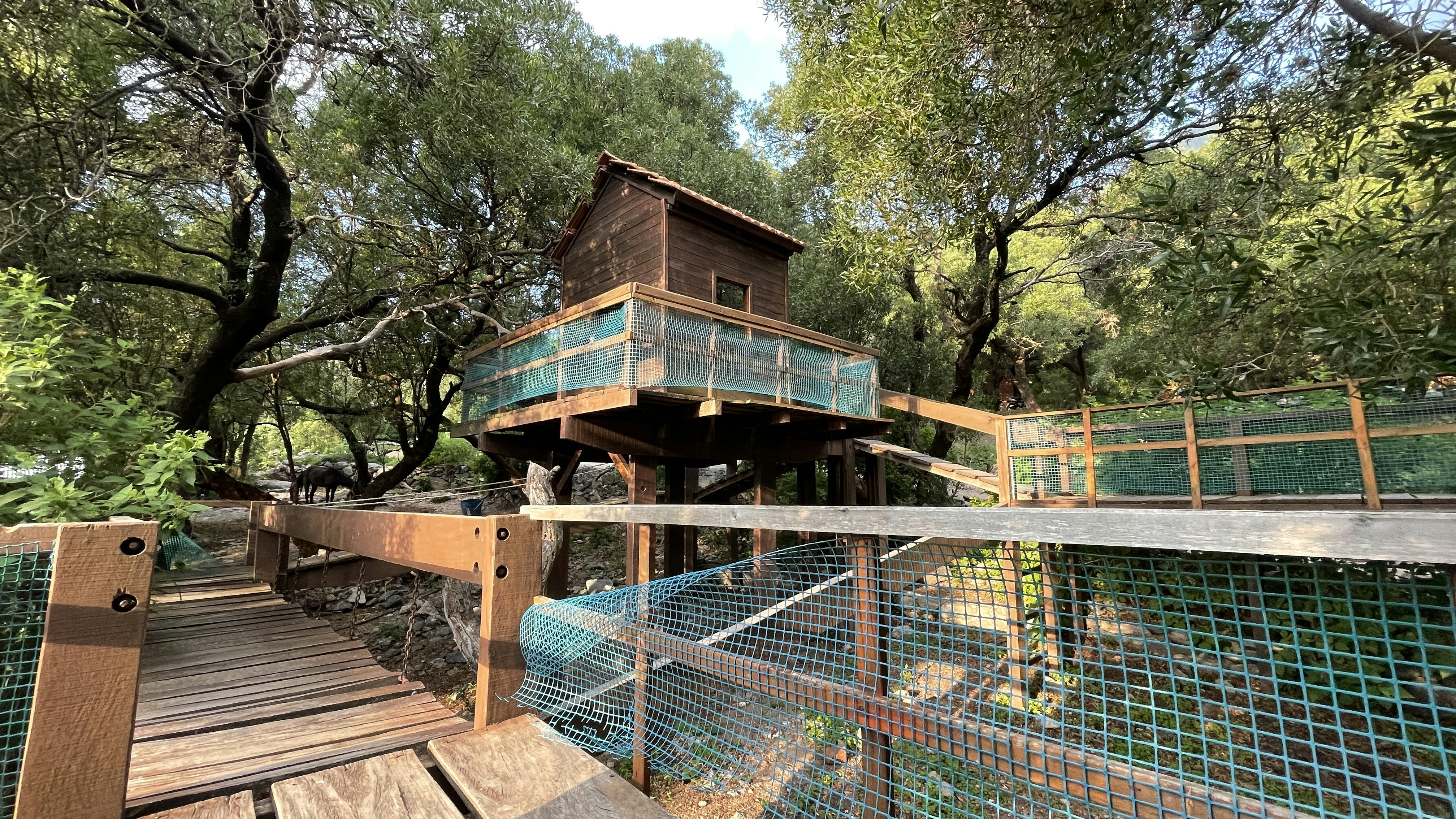 A tree house built on top of a wooden platform photo – Free Housing ...