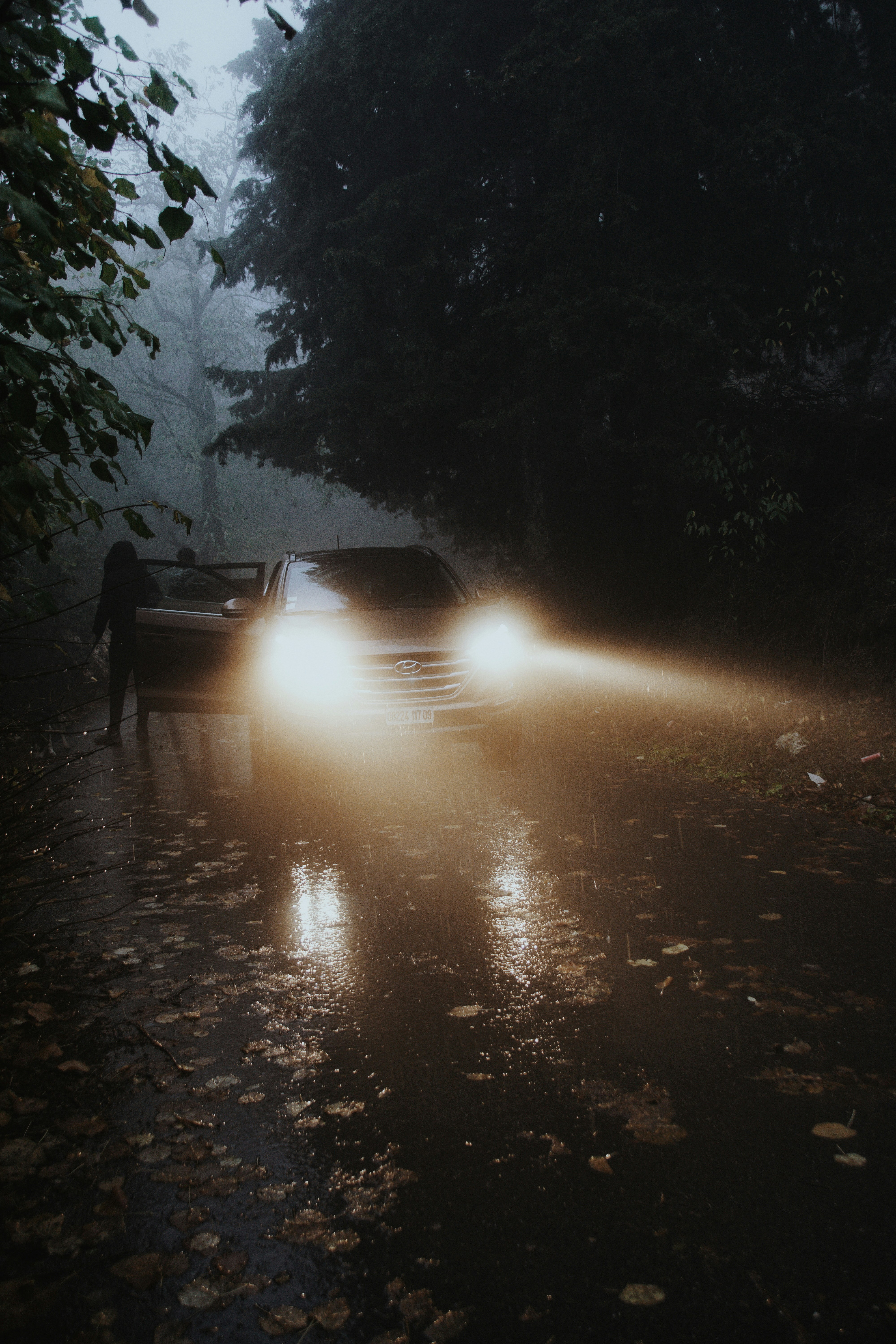 Dim Roadside Mystery: A Car Emerges Through Mist and Glare