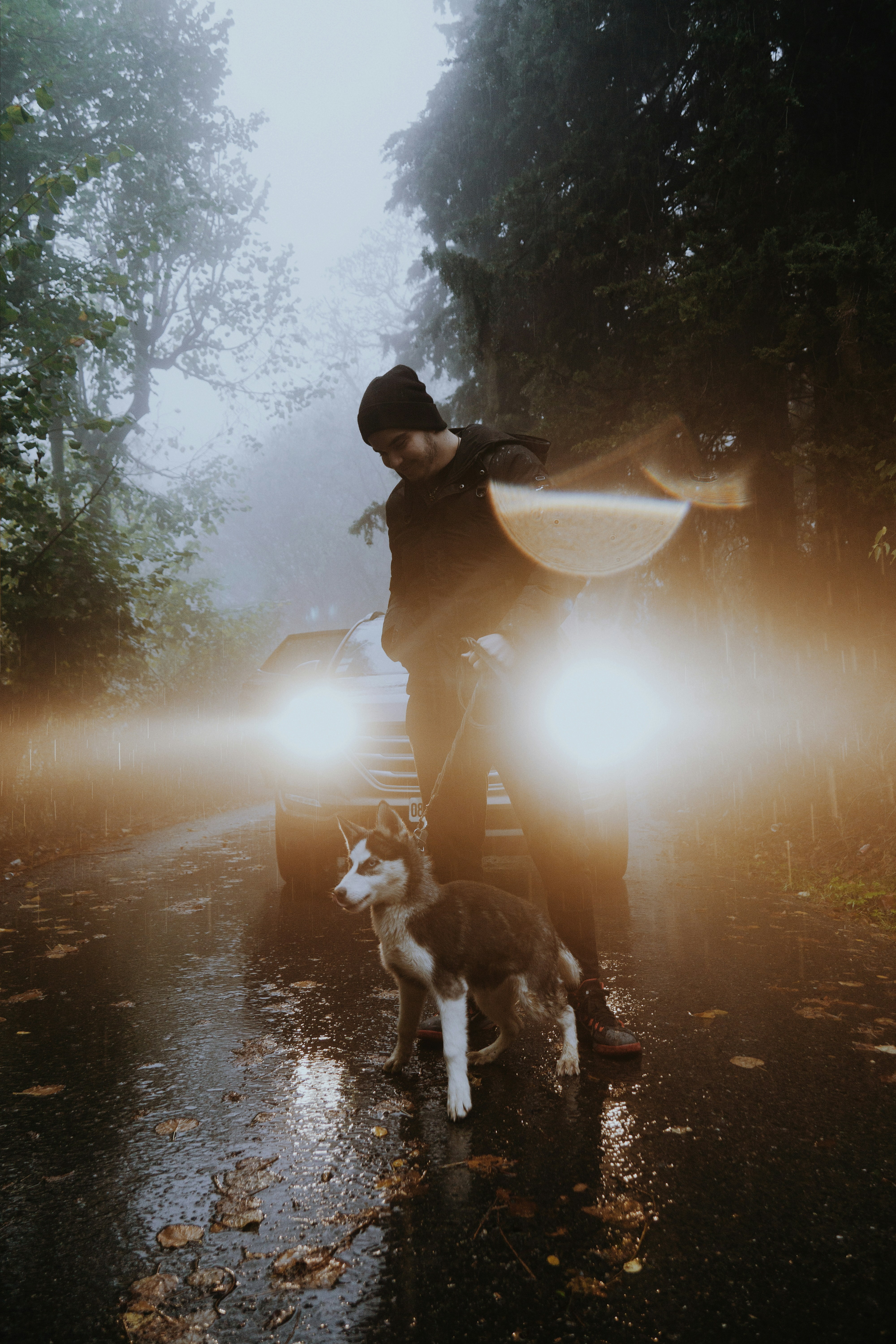 Fogbound Forest Road: Headlamp Echoes and a Loyal Companion