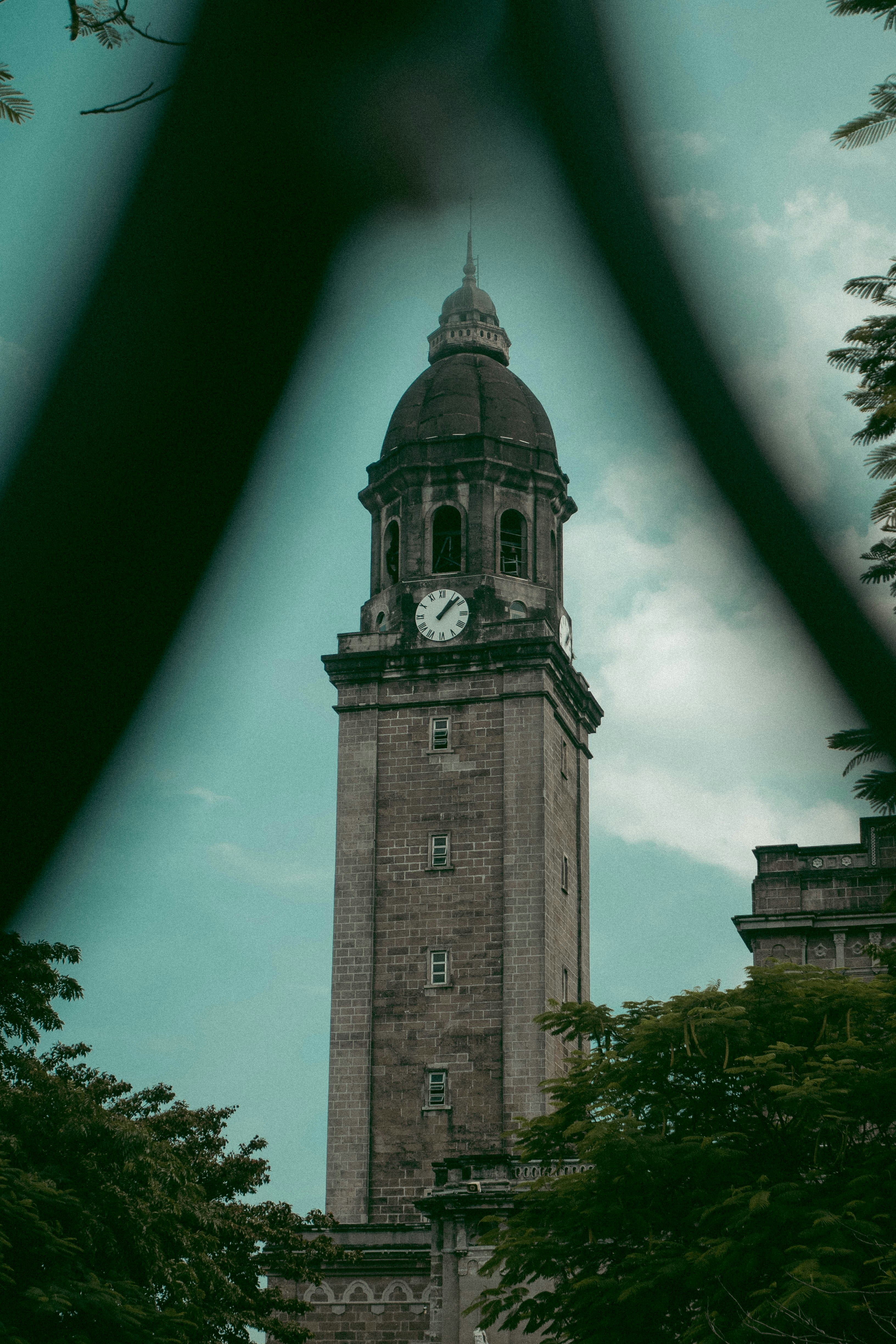 Historic clock tower framed by silhouetted foliage against a cloudy sky.