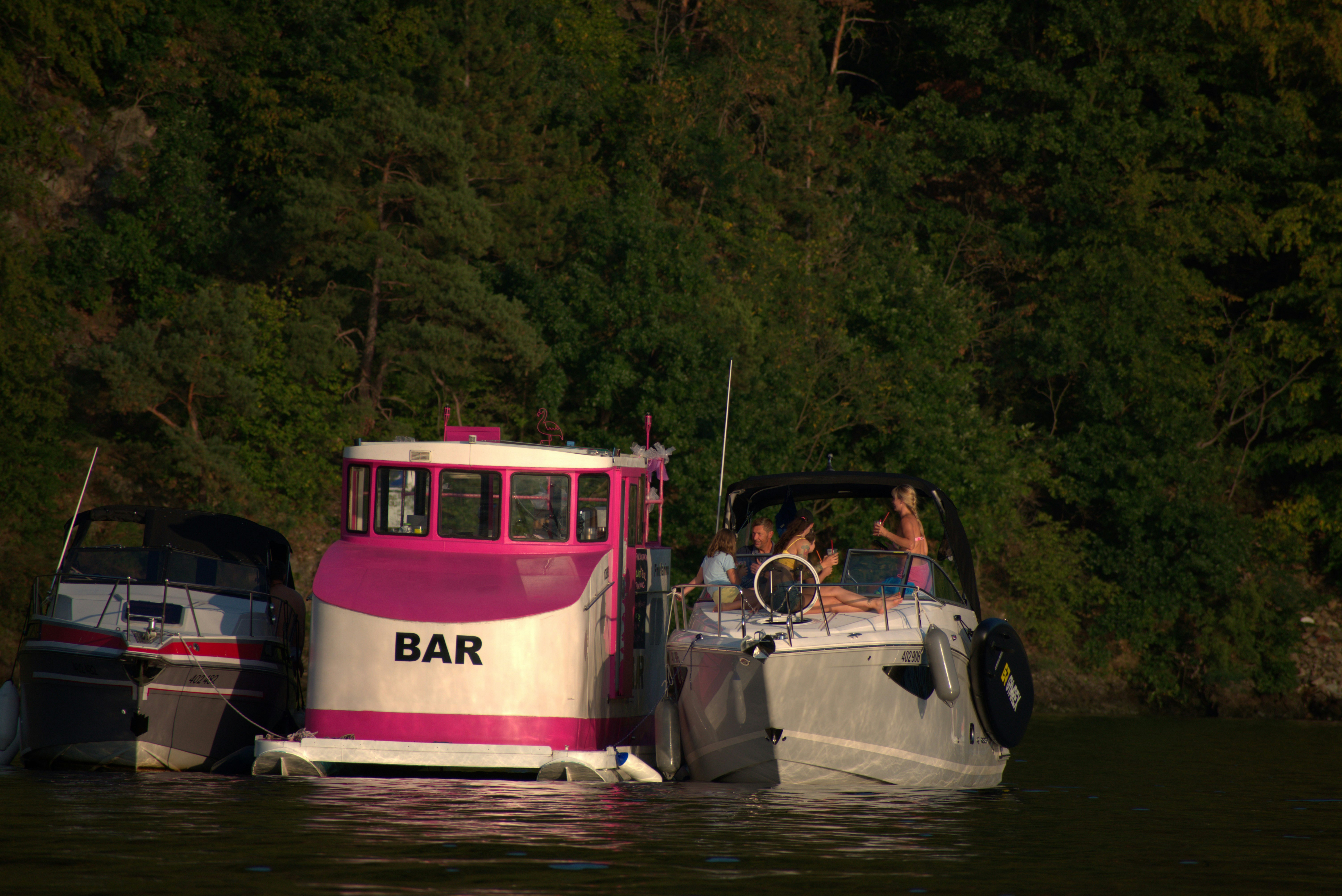 Pink Bar Boat at Dusk: Dockside Scene Between Pines and Water