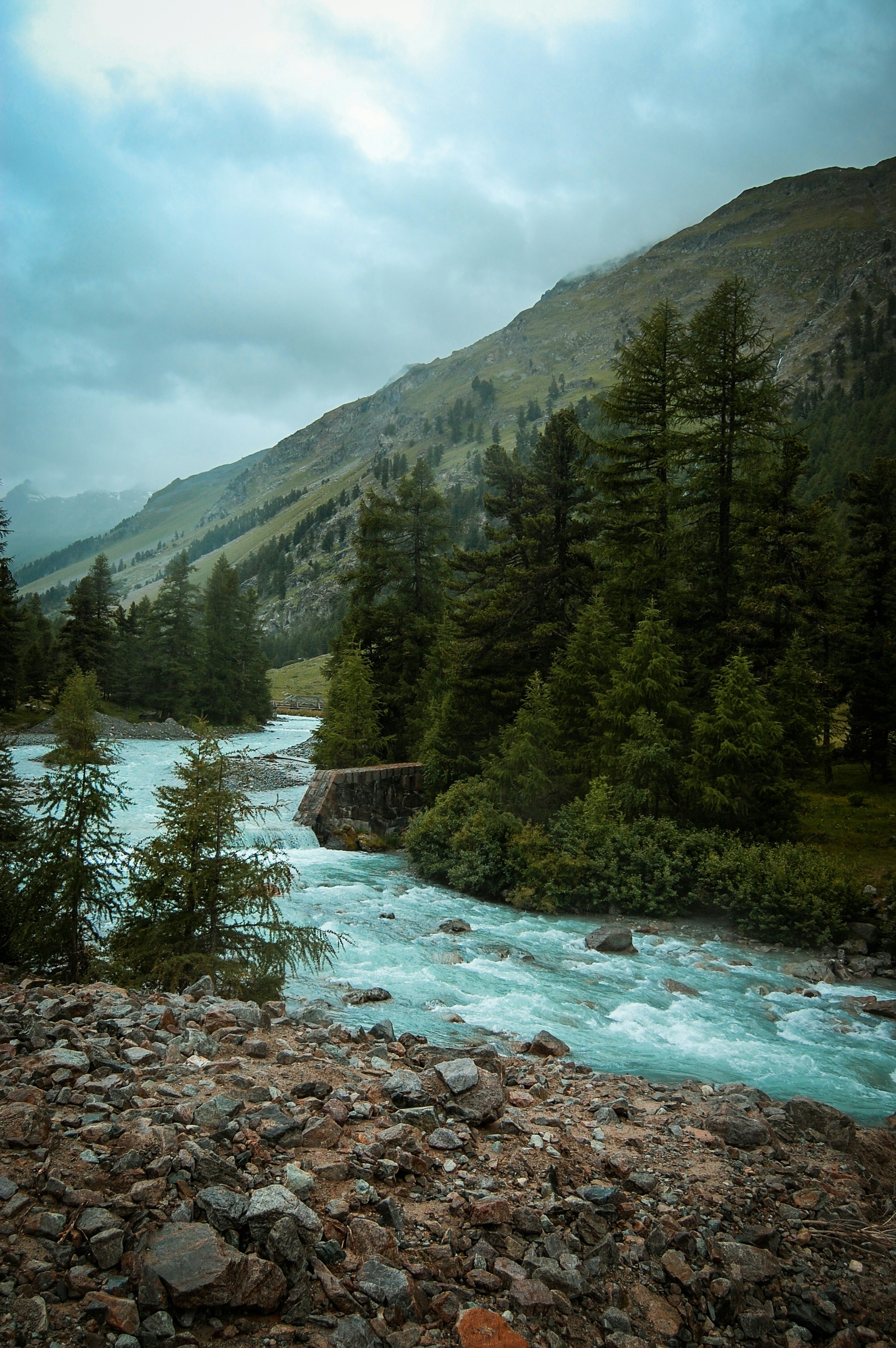 Une rivière qui coule à travers une forêt verdoyante photo – Photo La ...