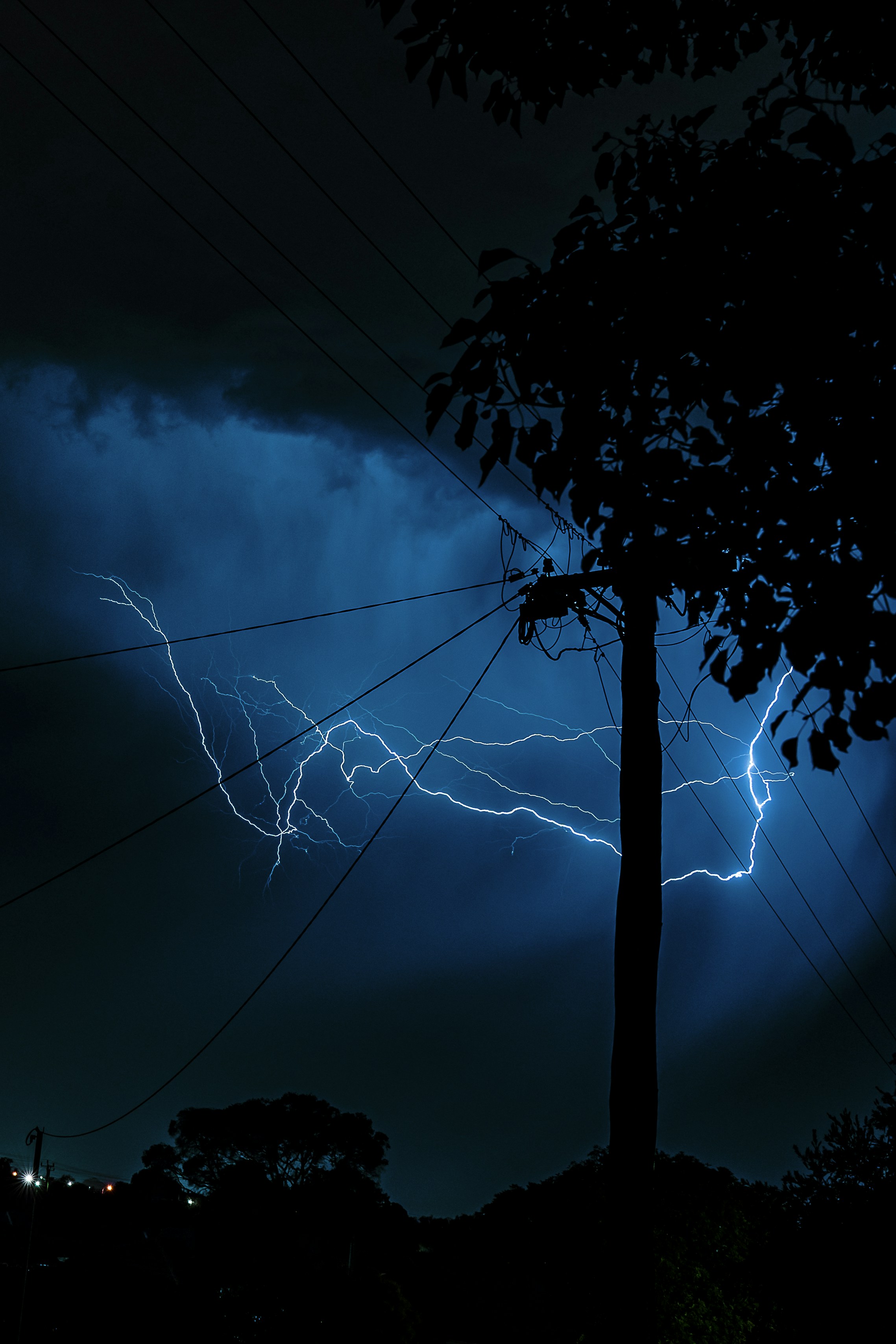 a lightning bolt is seen in the sky above a tree