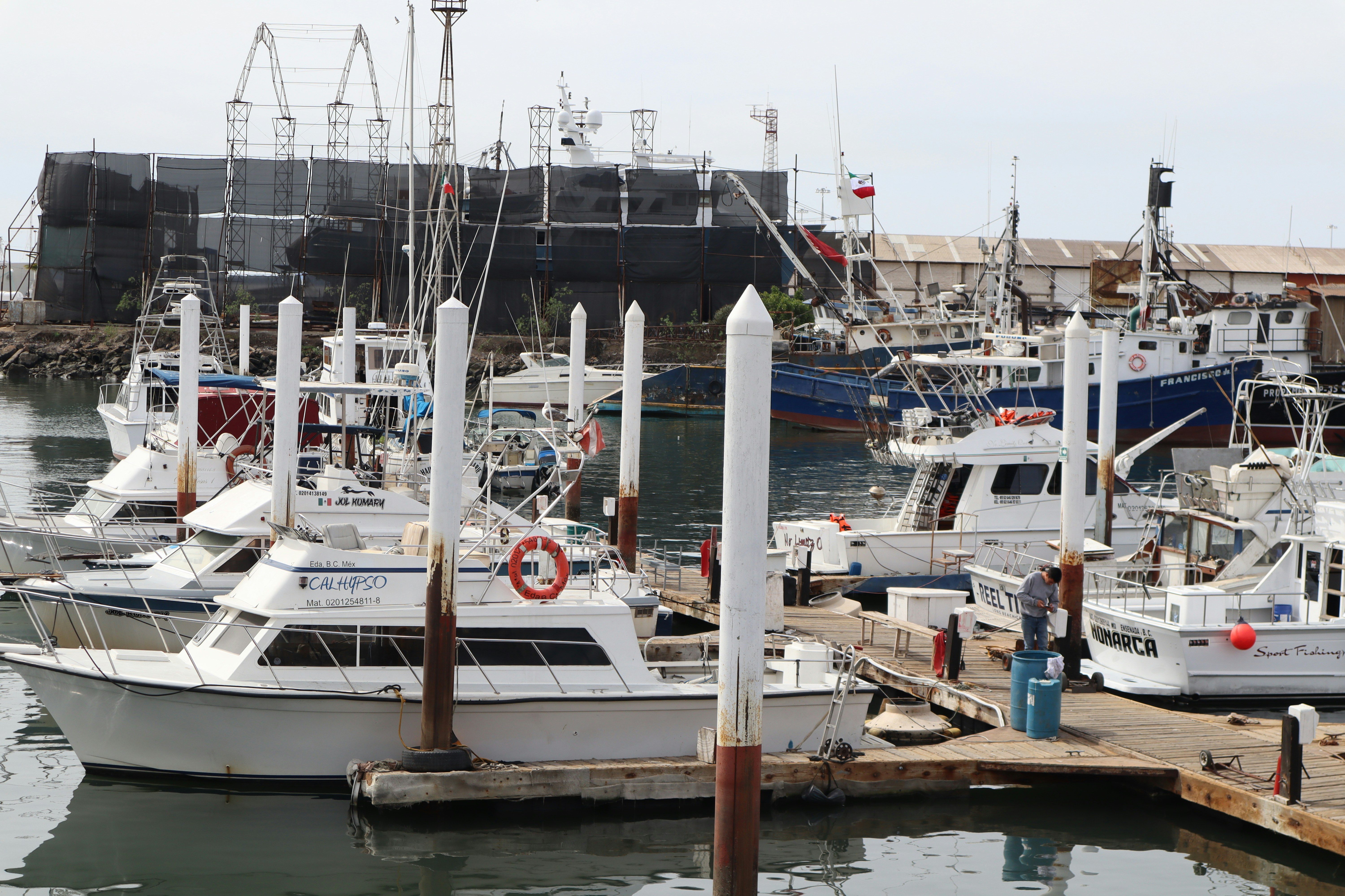 Quiet Marina Mosaic: White Hulls Align Along Weathered Piers