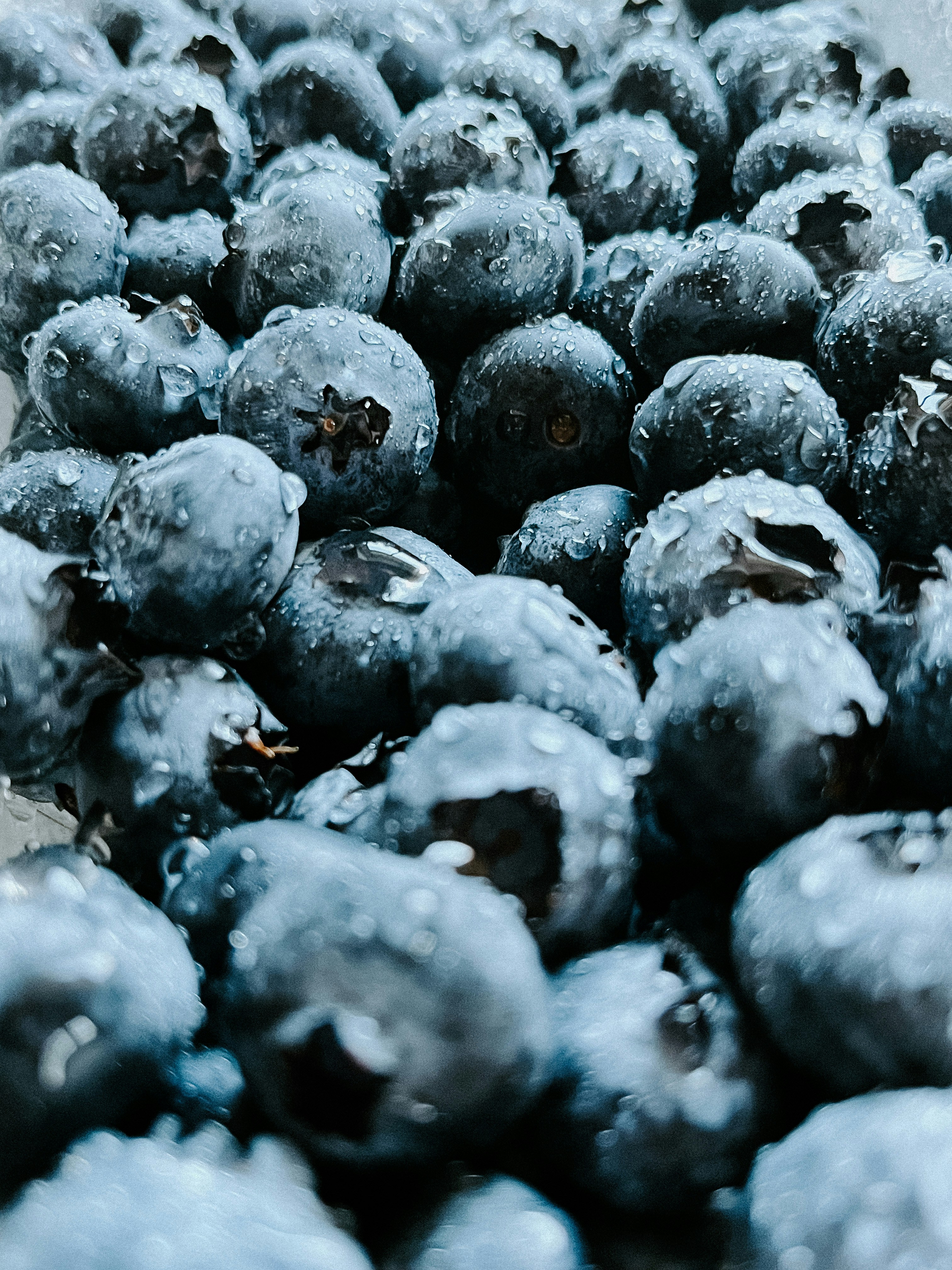 Fresh blueberries glistening with droplets of water, showcasing their rich color and texture.